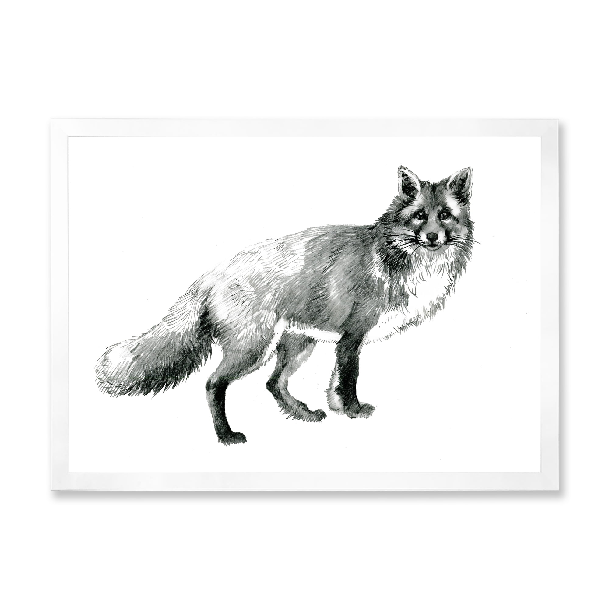 Designart 'Black and White Portrait Fox' Farmhouse Framed Art Print ...