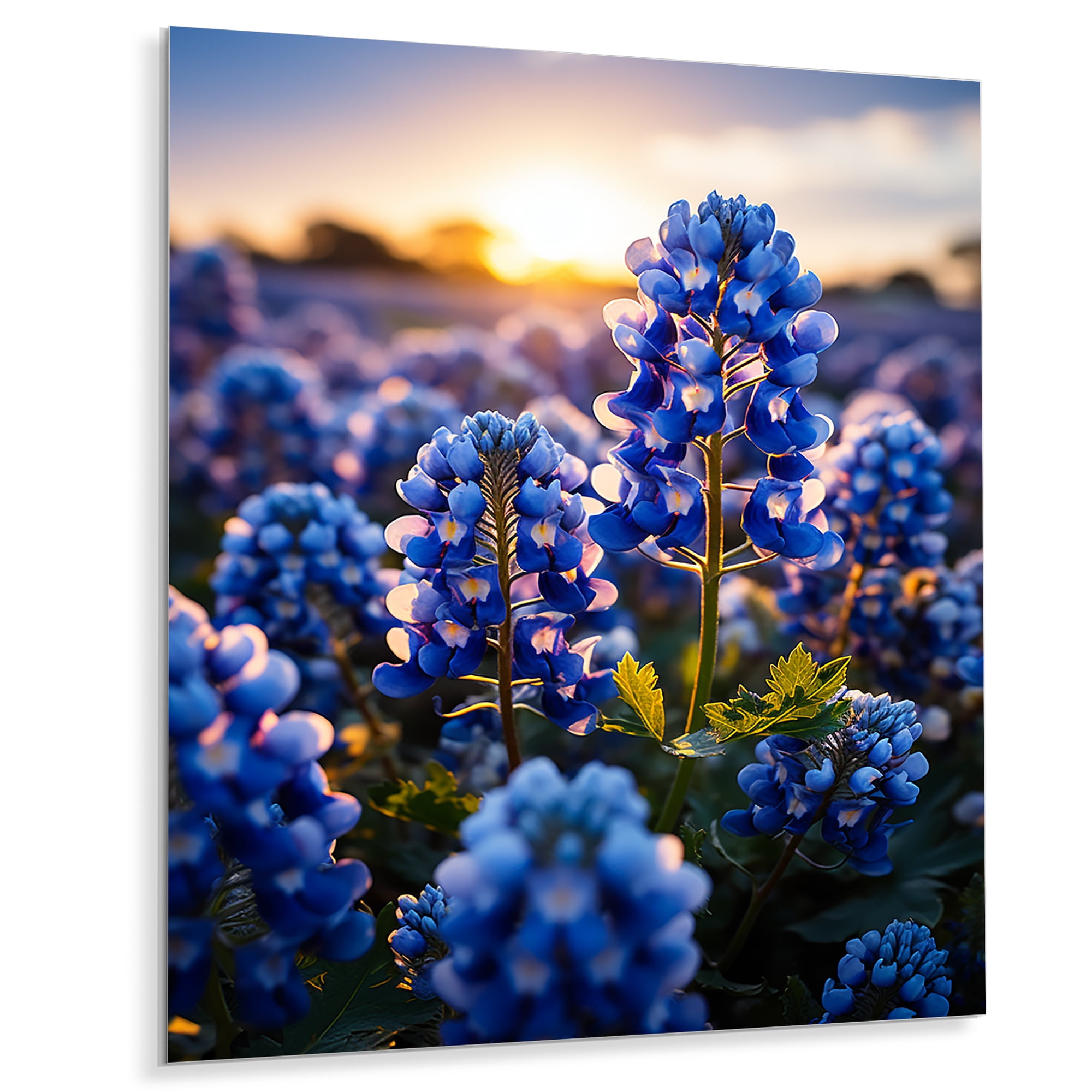 Designart "Blissful Bluebonnet Blooms II" Floral & Botanical Metal Wall ...