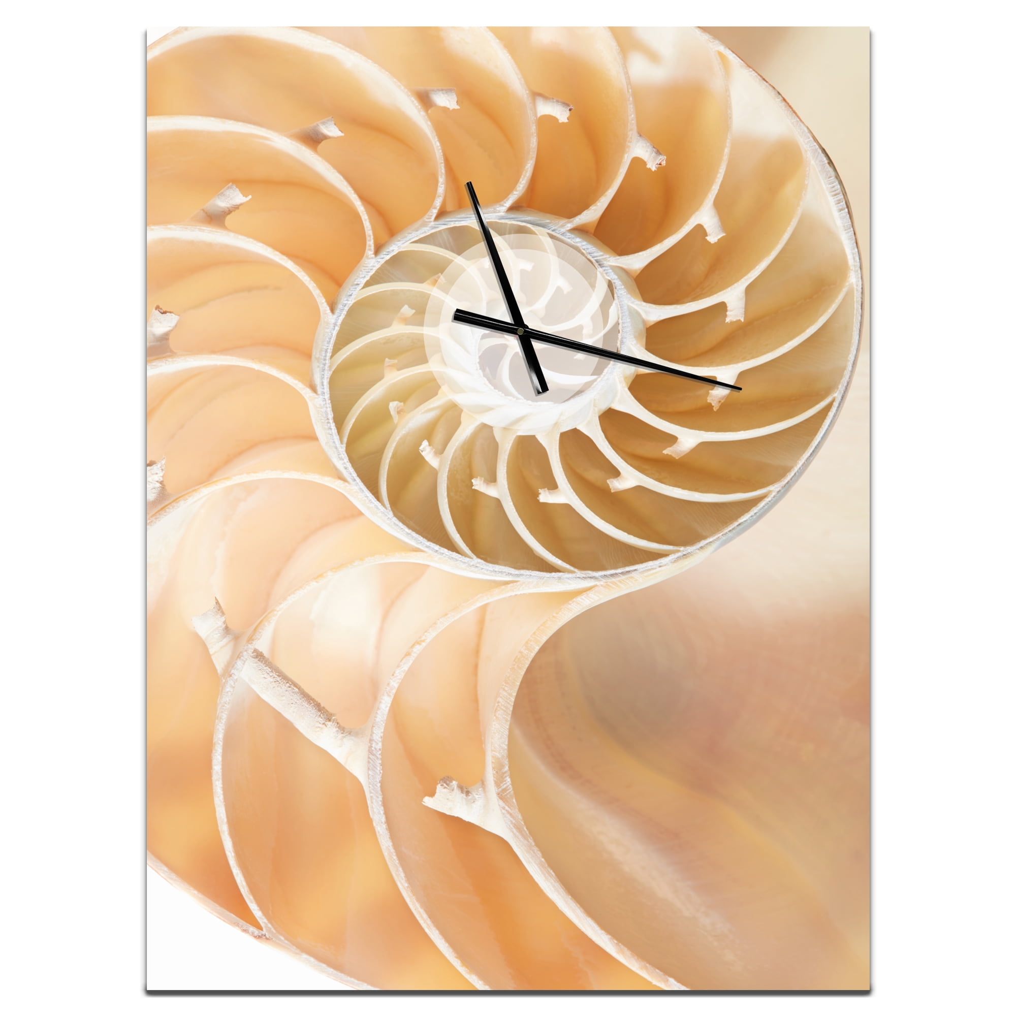 Designart Brown Nautilus Shell Wall Clock - Aluminum Design - Walmart.com