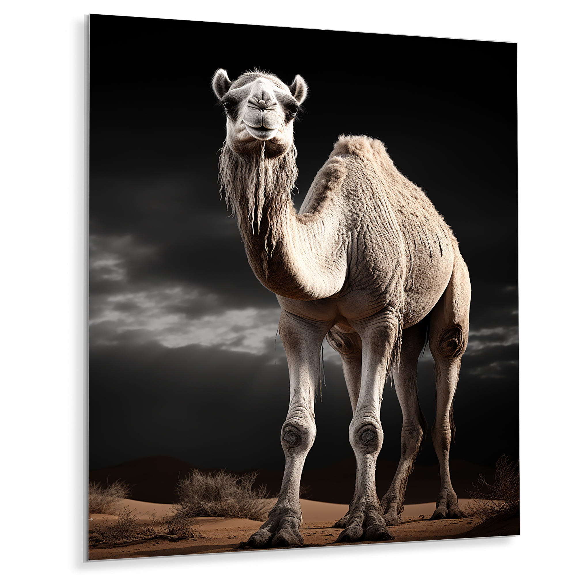 Designart "Camel beautyful Steps" Animals Camel Metal Wall Decor ...