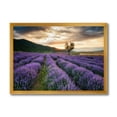 Designart 'Dramatic Clouds and Sunrise Over Lavender Field VII ...