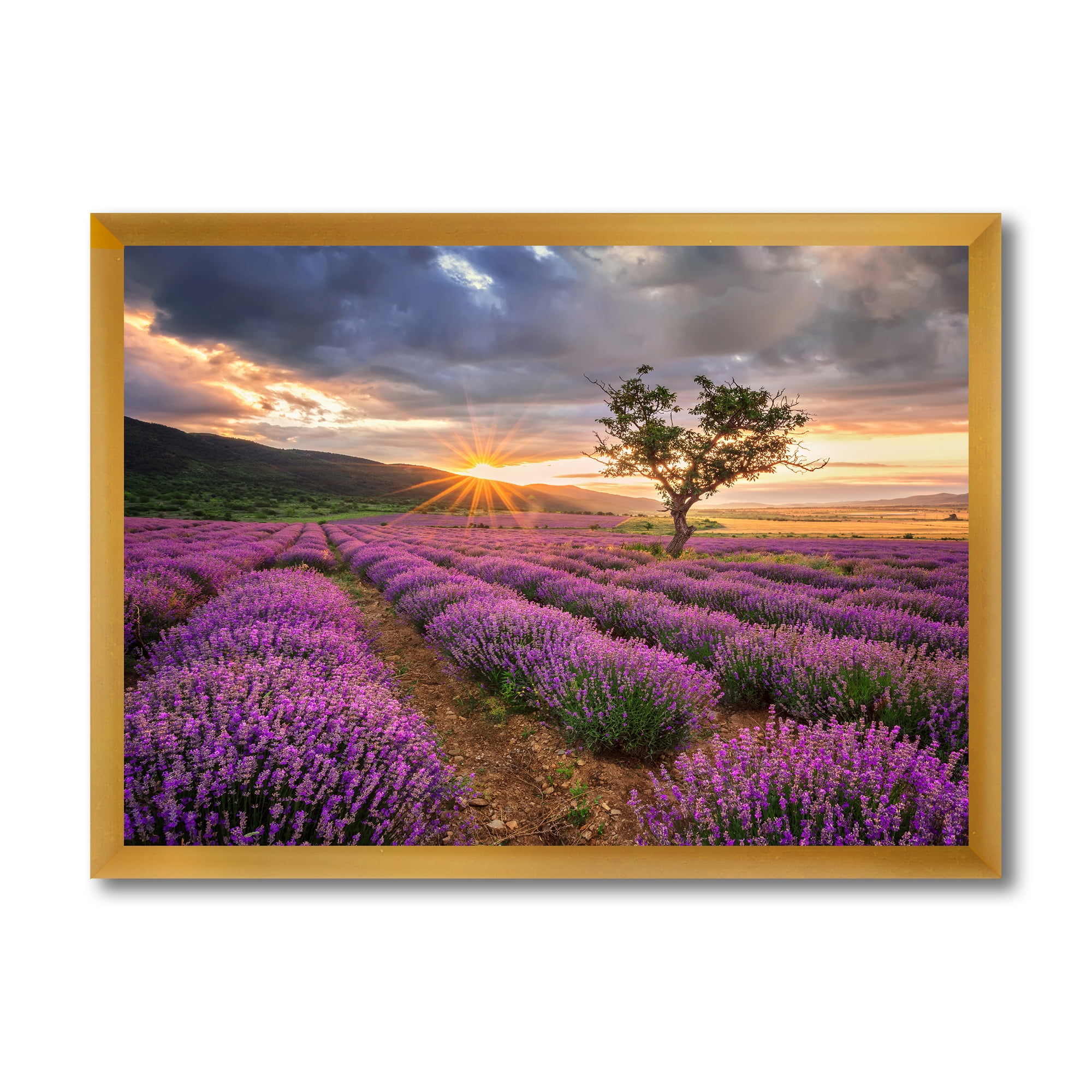 Designart 'Dramatic Clouds and Sunrise Over Lavender Field VIII ...