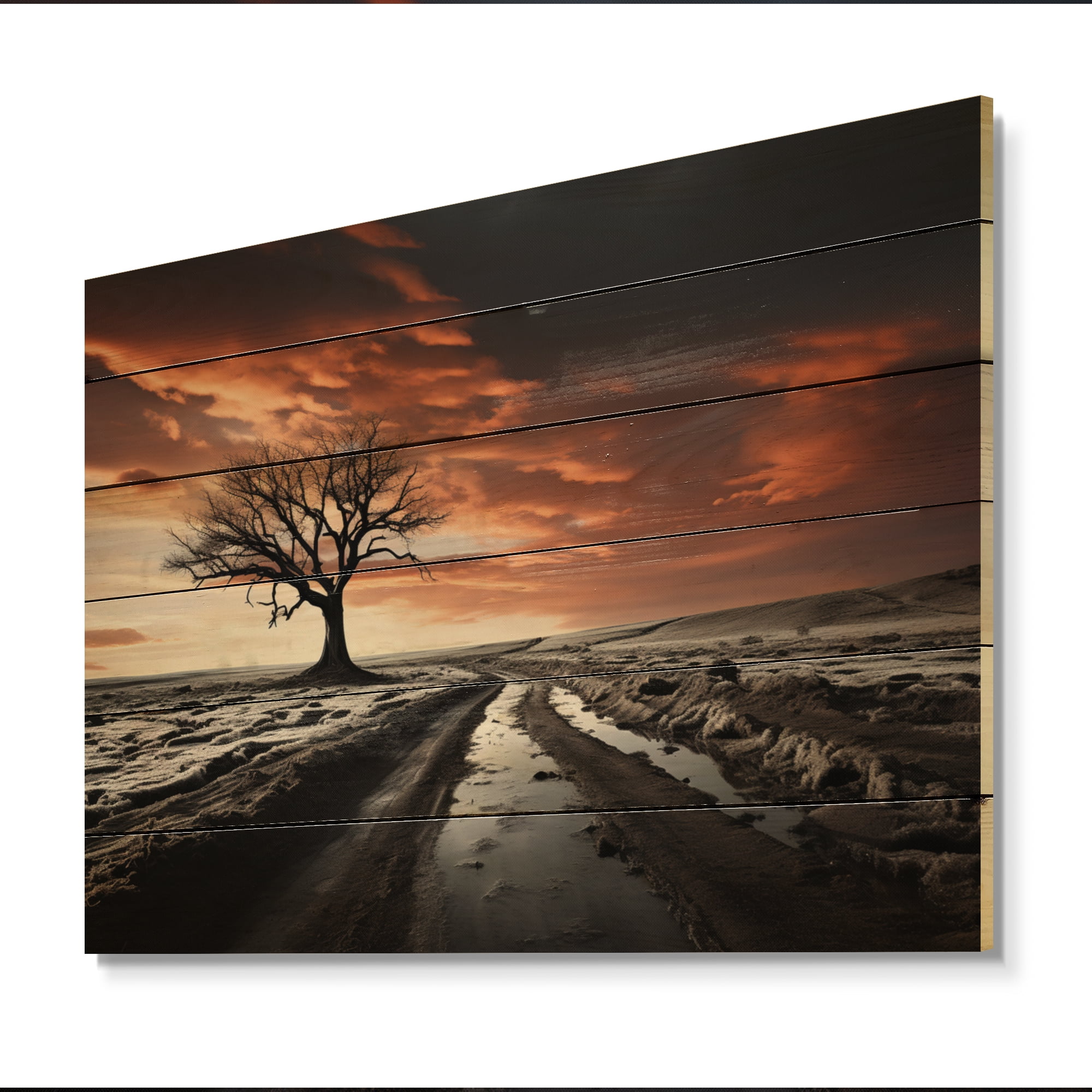 Designart "Dreams of Infinite Road Sky Photo II" Landscapes Trees Print ...