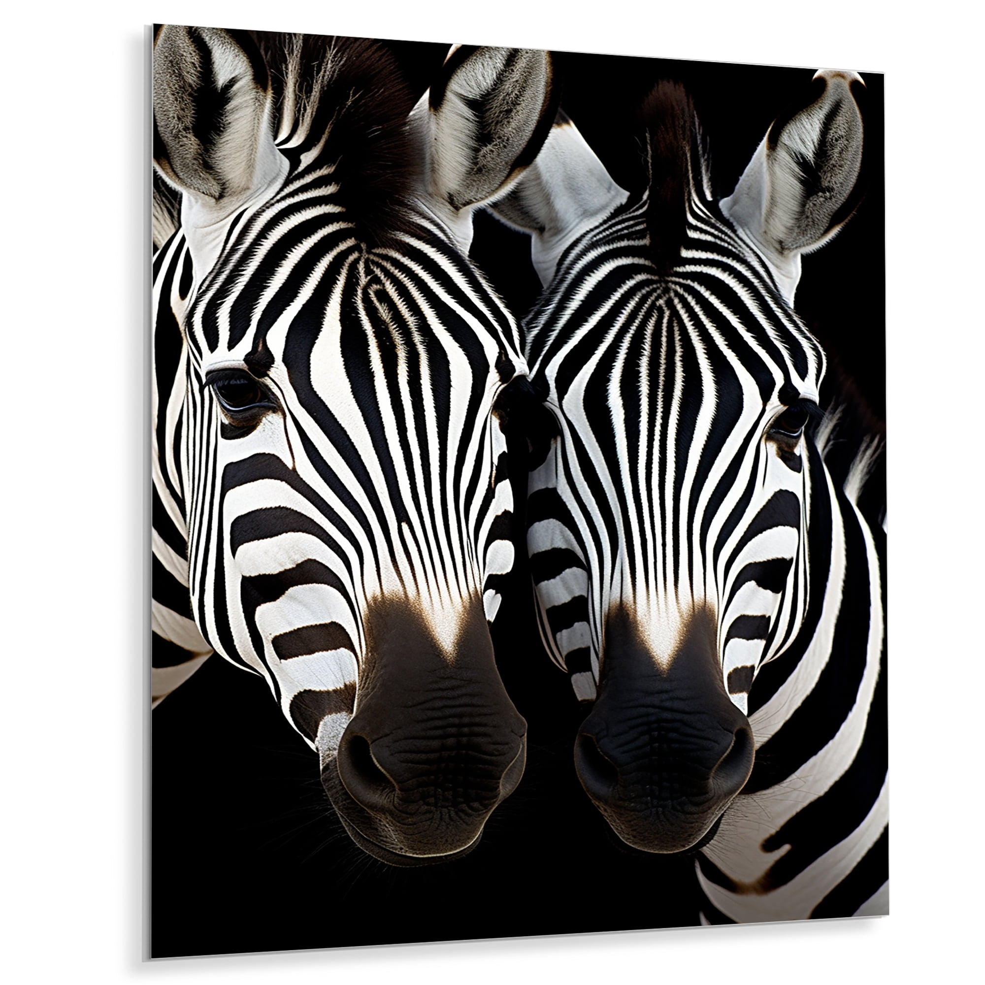 Designart "Duo Portrait of Black and White Zebras" Animals Zebra Metal ...