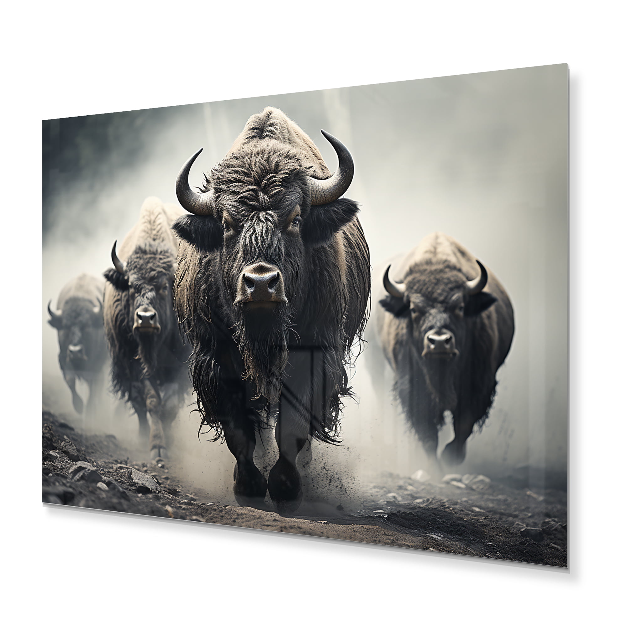 Designart "Gentle Guardians Grey Buffalo I" Animals Metal Art Print ...
