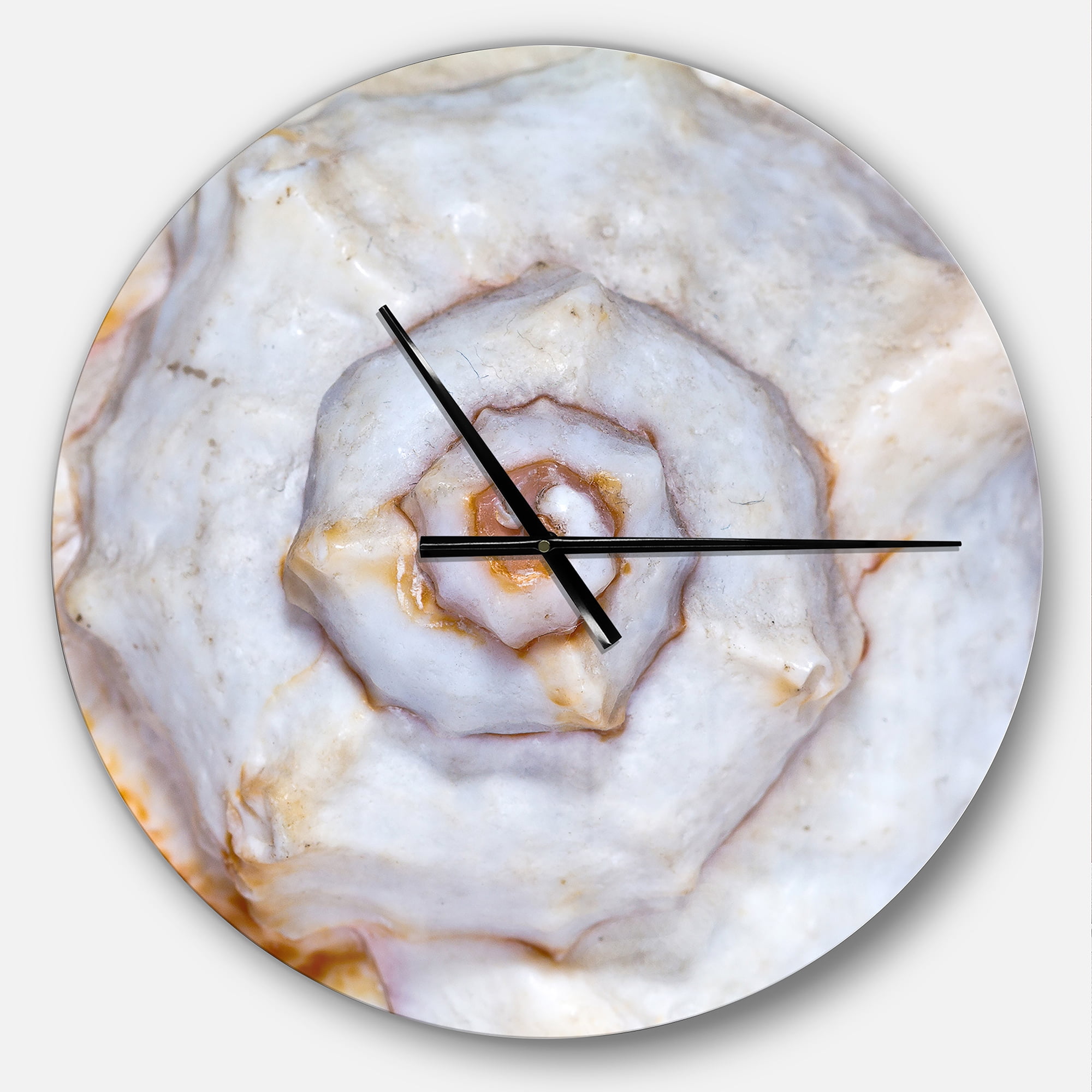 Designart 'Great Skeleton of Sea Shell' Metal Wall Clock - Walmart.com