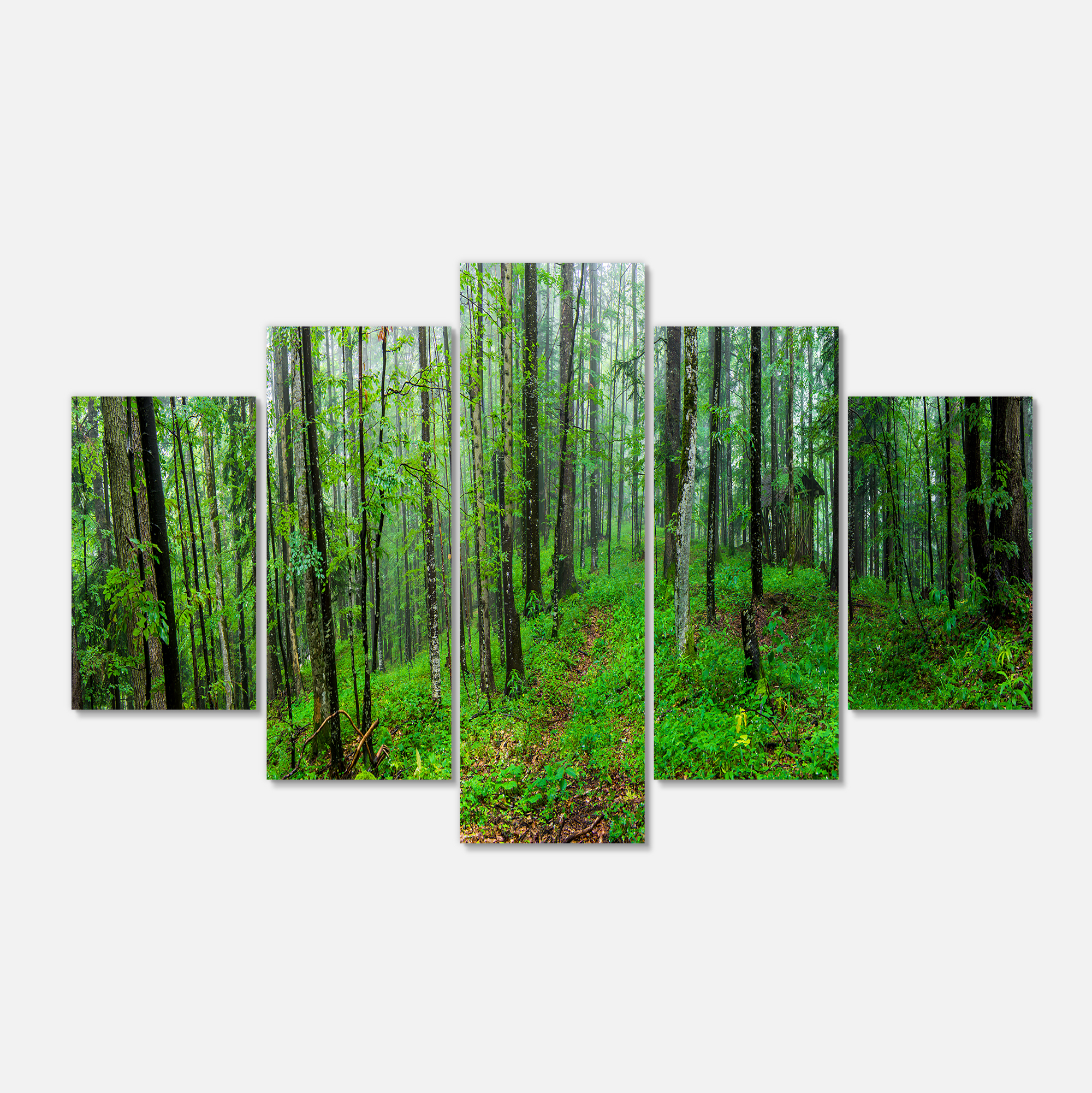 Designart Green Wild Forest Canvas Art Print - Nature Wall Decor, Ready ...