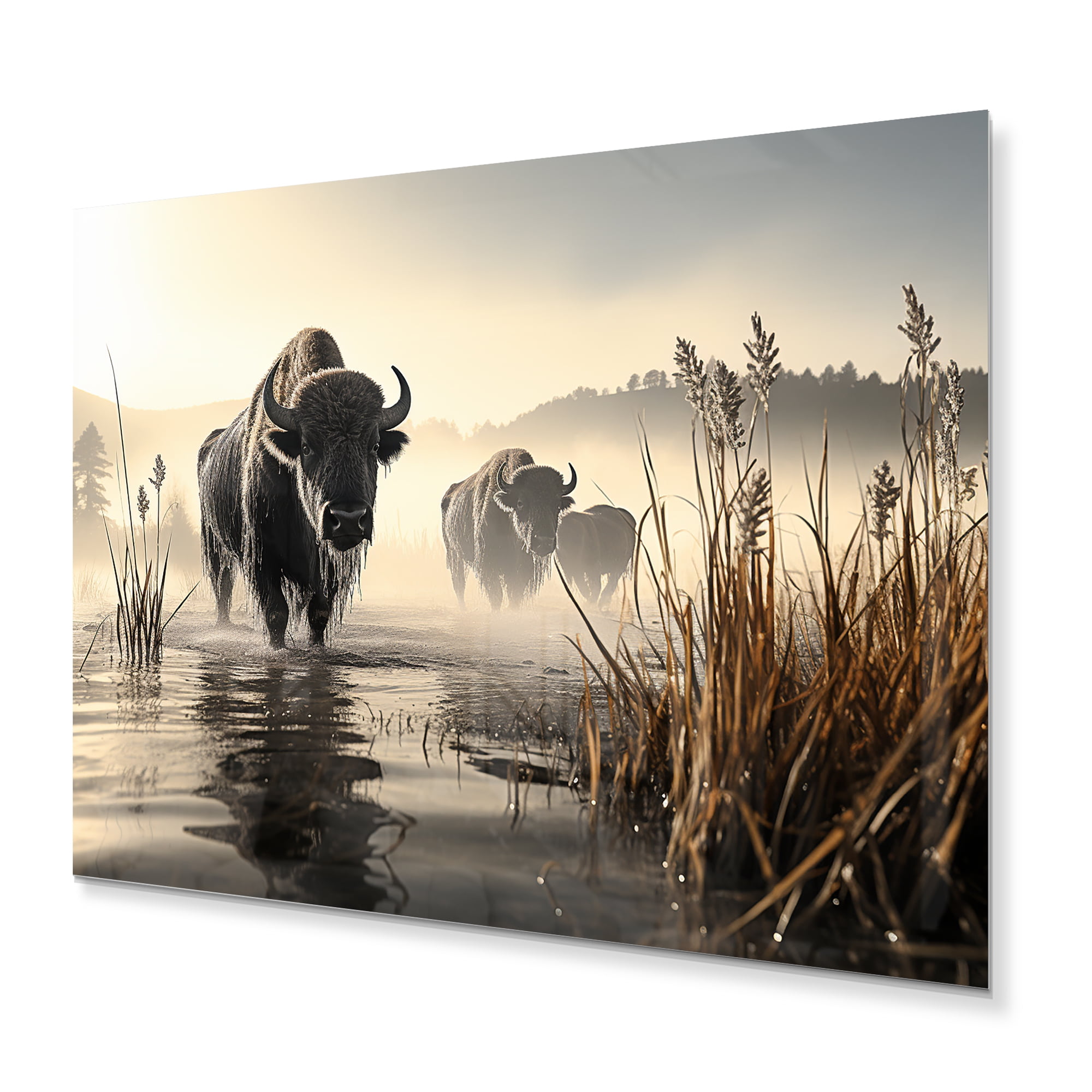 Designart "Misty Morning Grazing Grey Buffalo Serenity I" Animals Metal ...