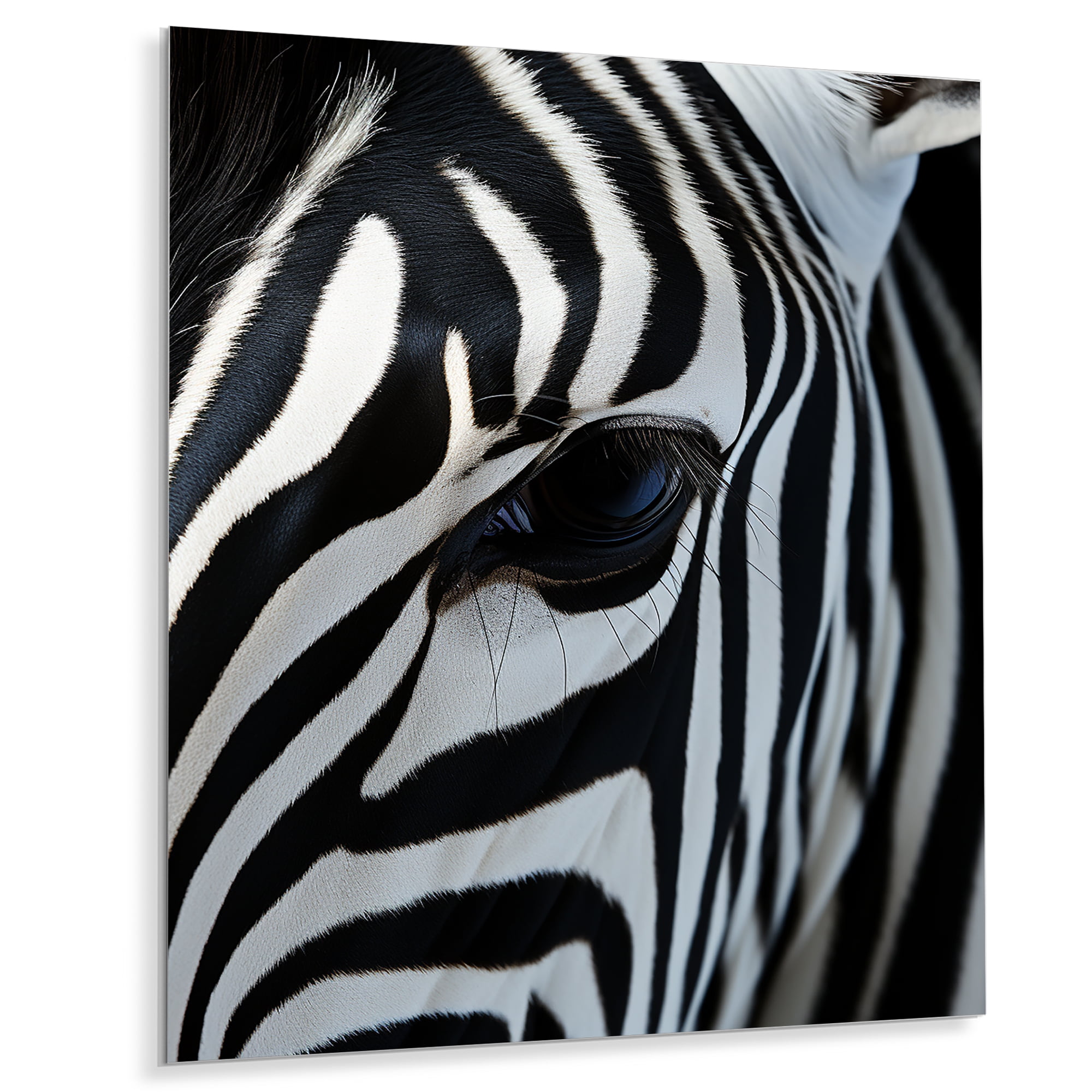 Designart "Portrait of a Black and White Zebra II" Animals Zebra Metal ...