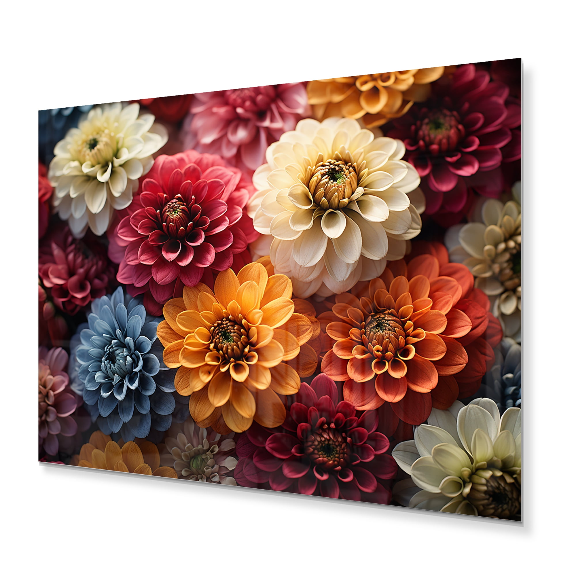 Designart "Sunrise over a Colorful Zinnias Field V" Floral Metal Wall ...