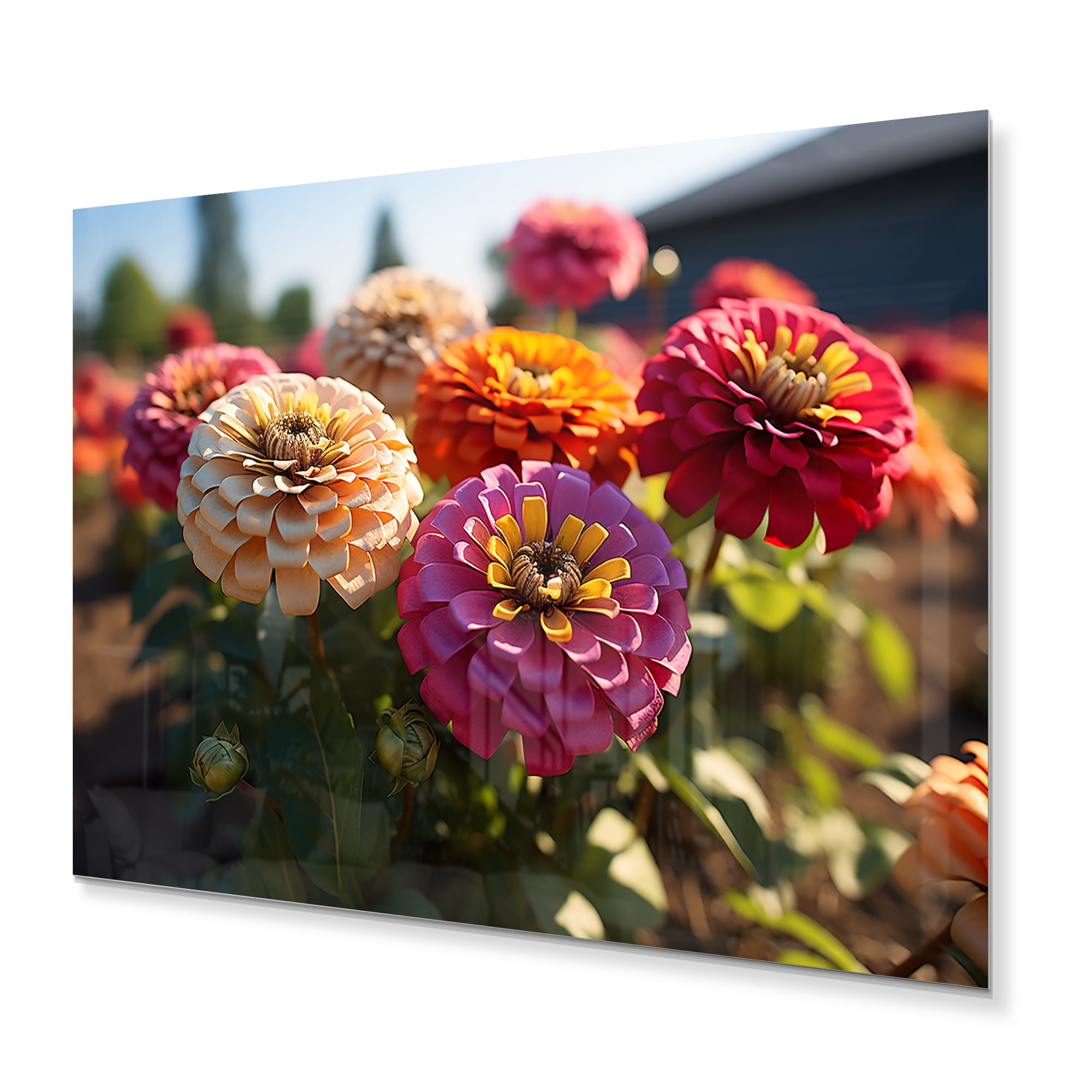Designart "Sunrise over a Colorful Zinnias Field VII" Floral Metal Wall ...