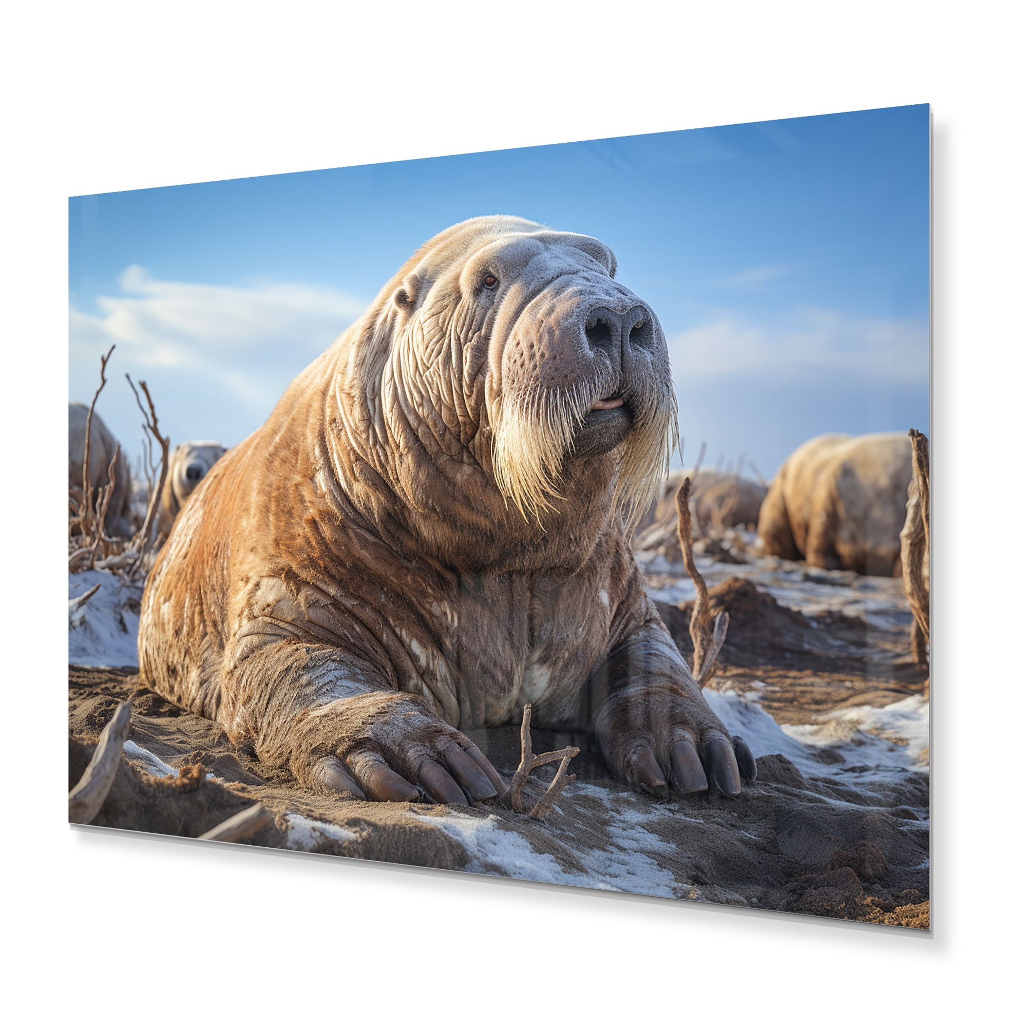 Designart "The Tundra King A Walrus Tale" Animals Metal Wall Art ...