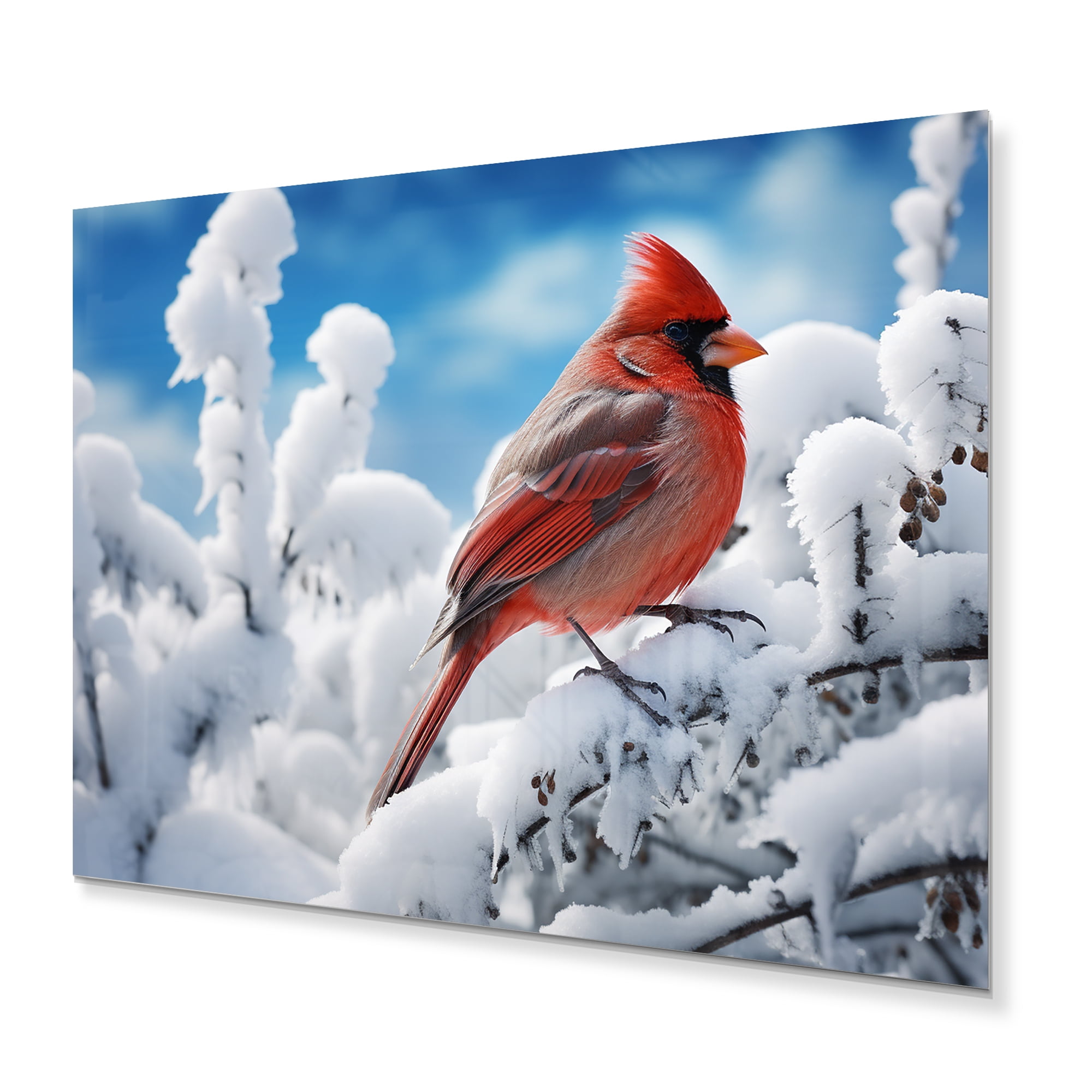 Designart "Winter Wonderland Cardinal Red Bird in Canada II" Animals ...