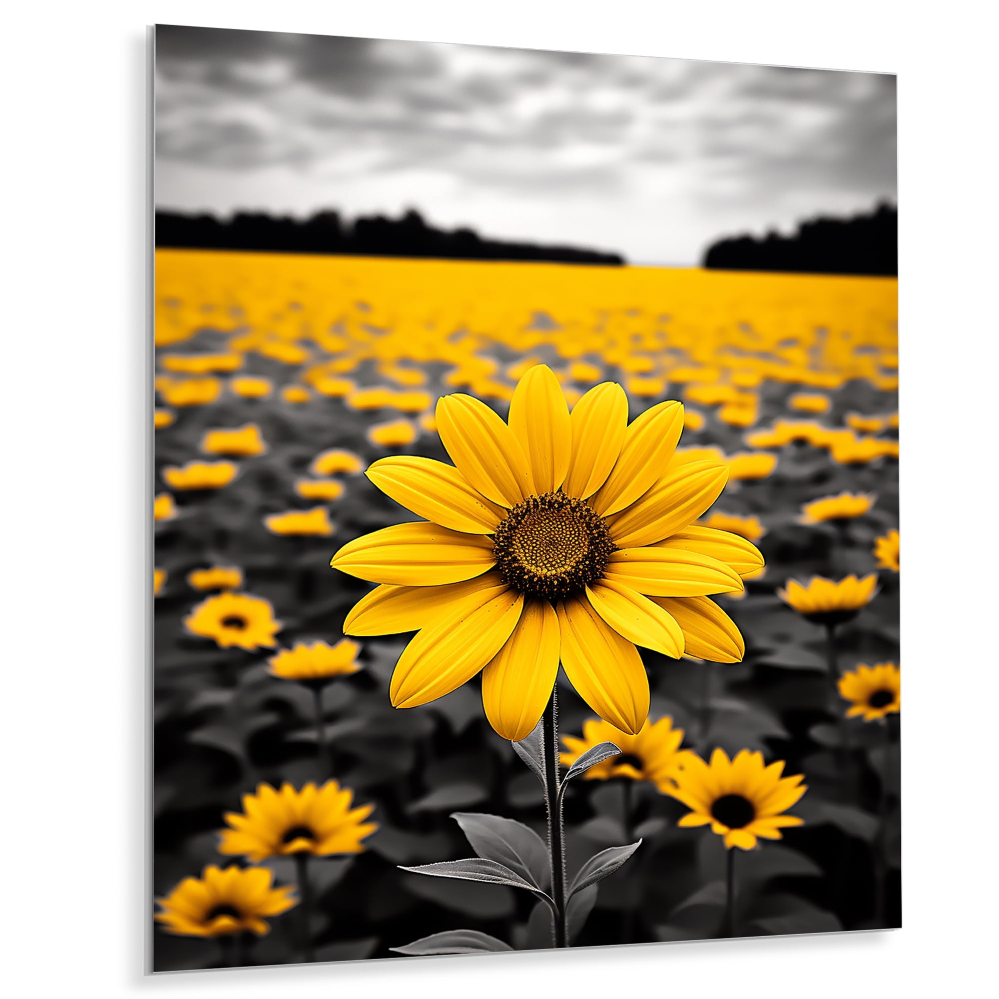 Designart "Yellow Brown Sunflower landscape Emergent Sunflower I ...