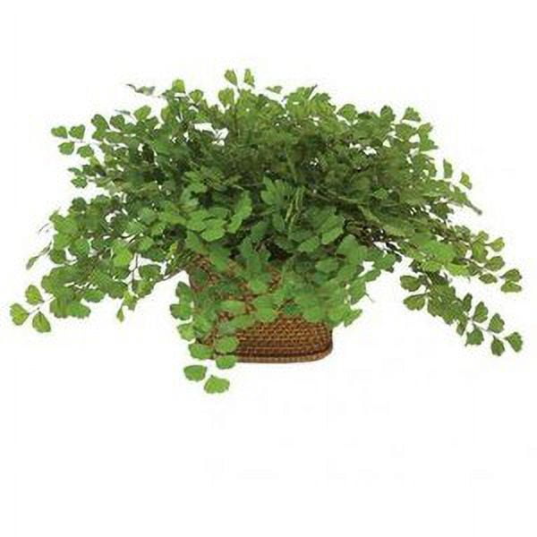 Designed by Silkwood Large Greenery Basket - Walmart.com