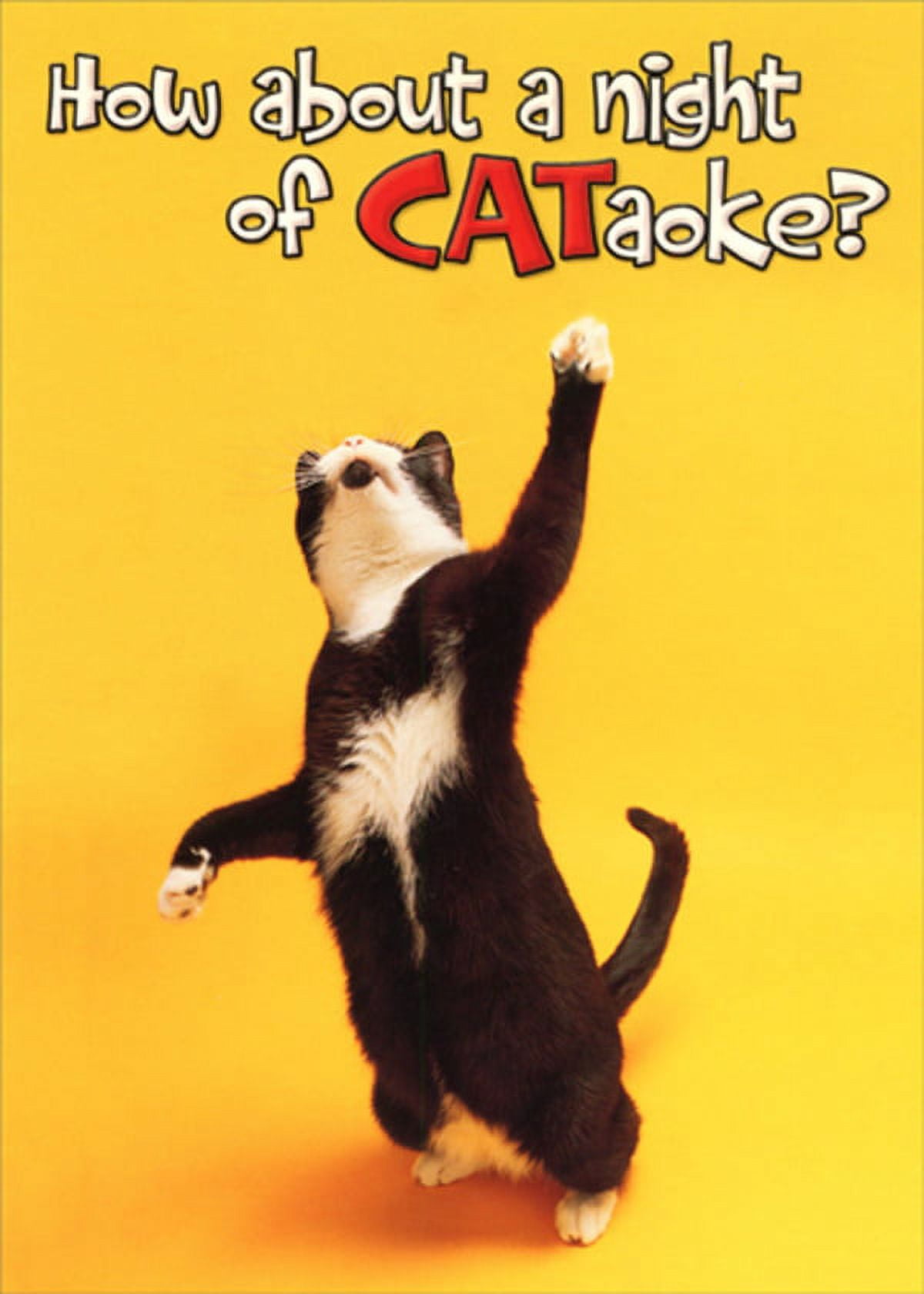 Designer Greetings A Night of Cataoke Funny : Humorous Just for Fun ...