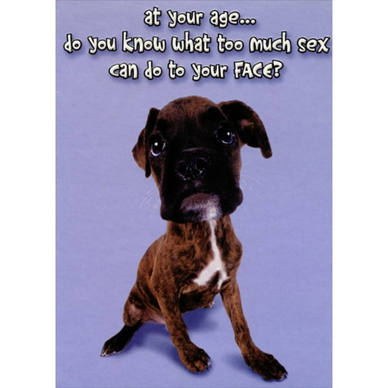 Funny Boxer Dog Meme