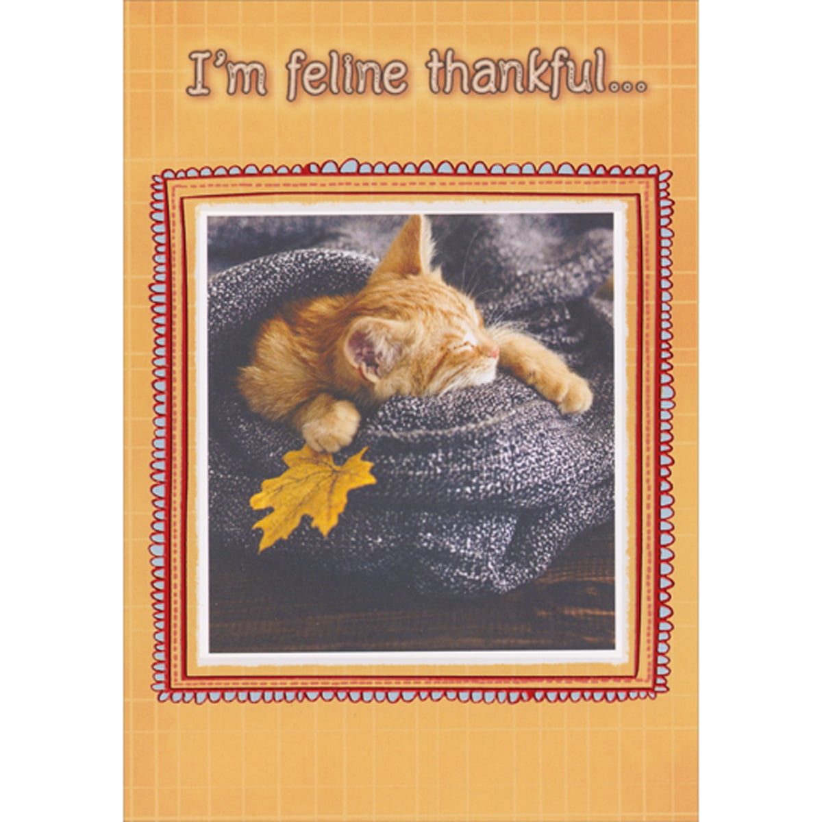 Designer Greetings Feline Thankful Sleeping Kitten Wrapped in Blanket ...