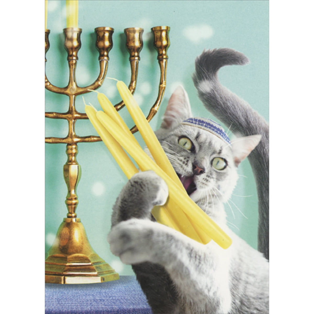 Designer Greetings Gray Cat Balancing Yellow Menorah Candles in Paws ...