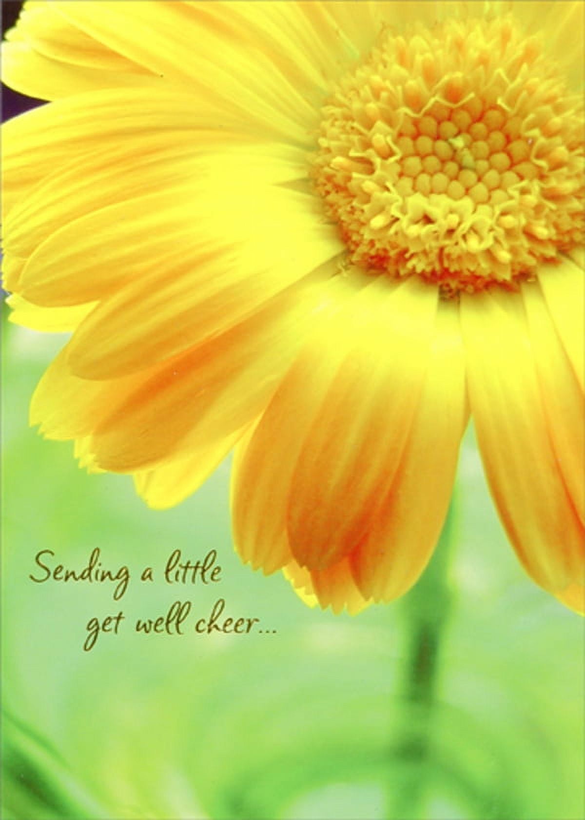 Designer Greetings Large Sunflower Photo Get Well Cheer Card - Walmart.com