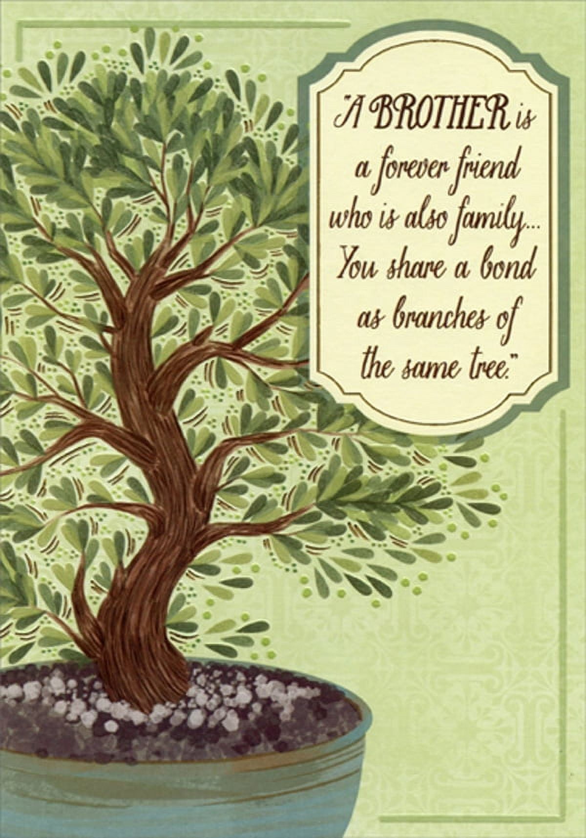 Designer Greetings Birthday Card for Brother with Small Tree in Pot ...