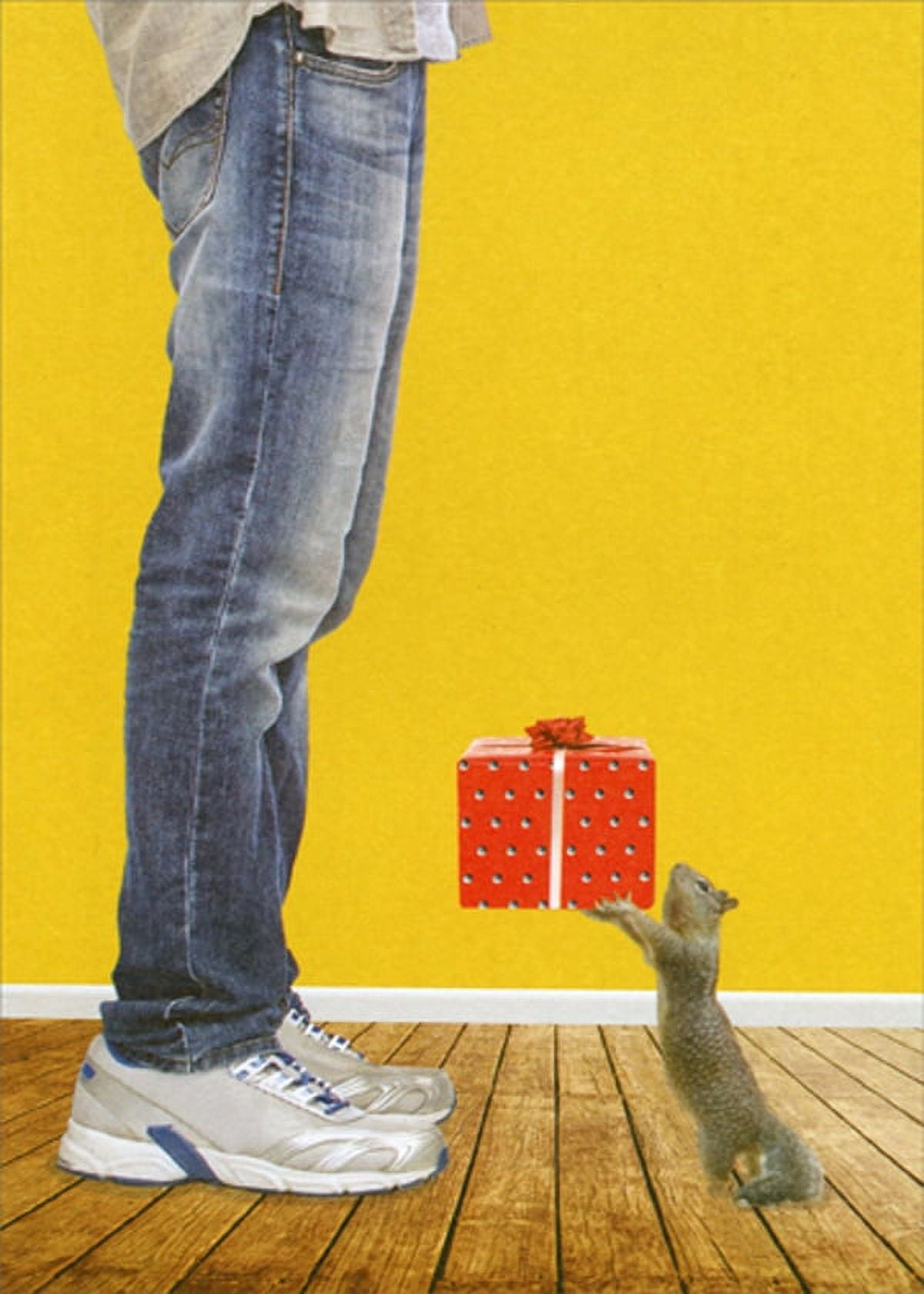 Designer Greetings Squirrel Giving Present to Man in Jeans Funny ...