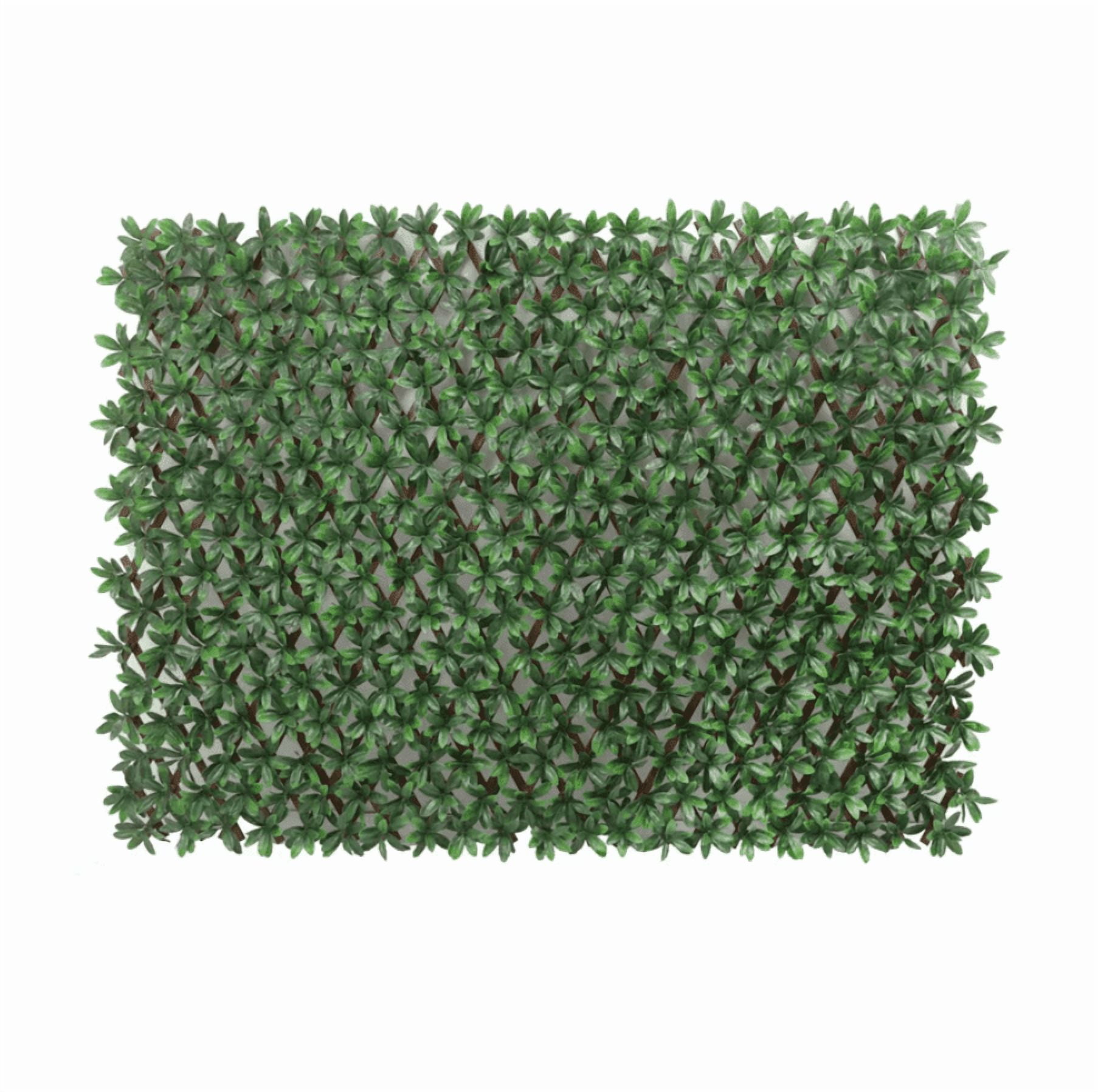Designer Plants USA Expandable Faux English Laurel Trellis Privacy ...