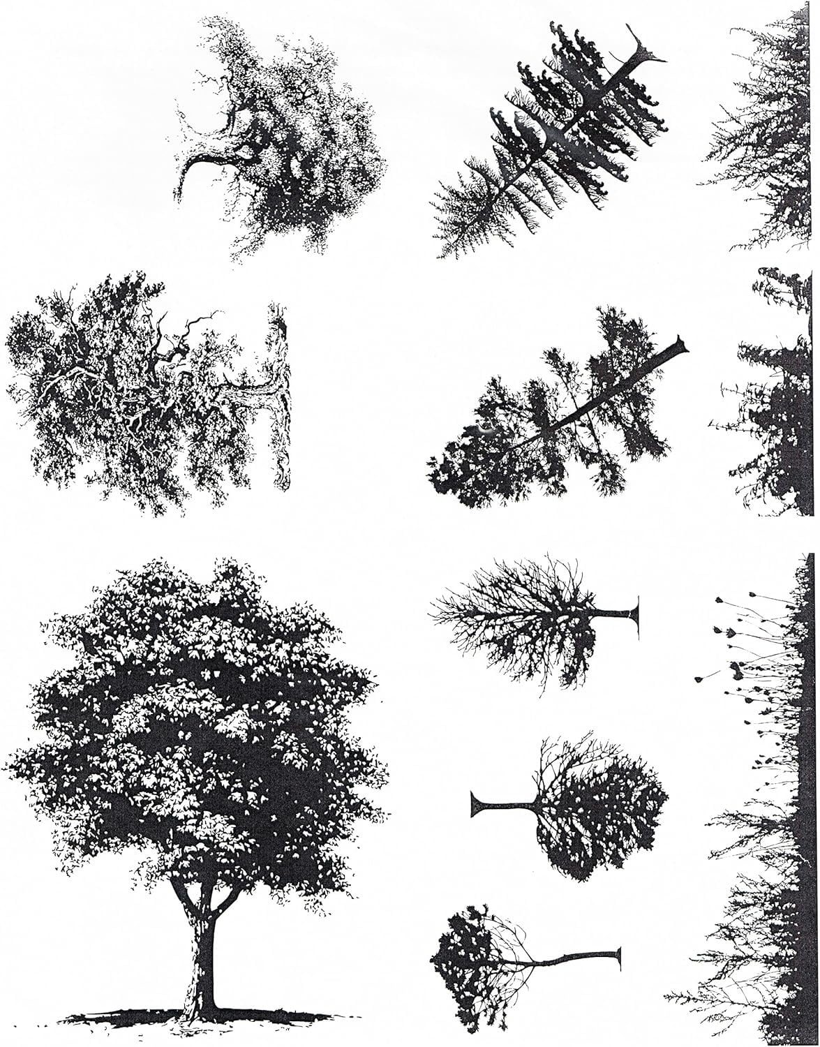 Designer Silkscreens DSS-110 Trees Designs, for Adding Intricate ...