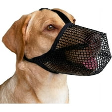Dog Mask