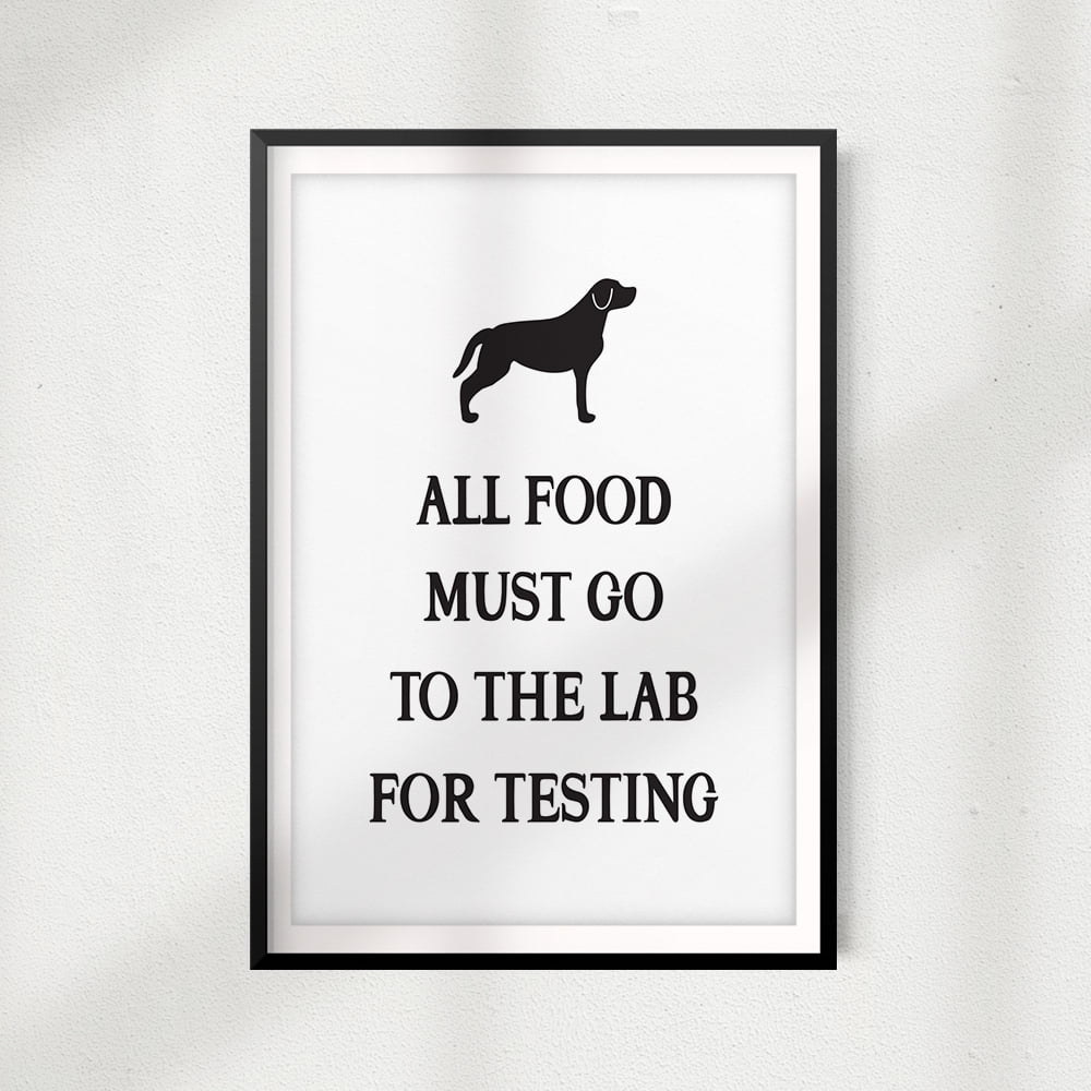 Designs ByLITA All Food Must Go To The Lab For Testing V2 11 Designs ByLITA All Food Must Go To The Lab For Testing V2 11