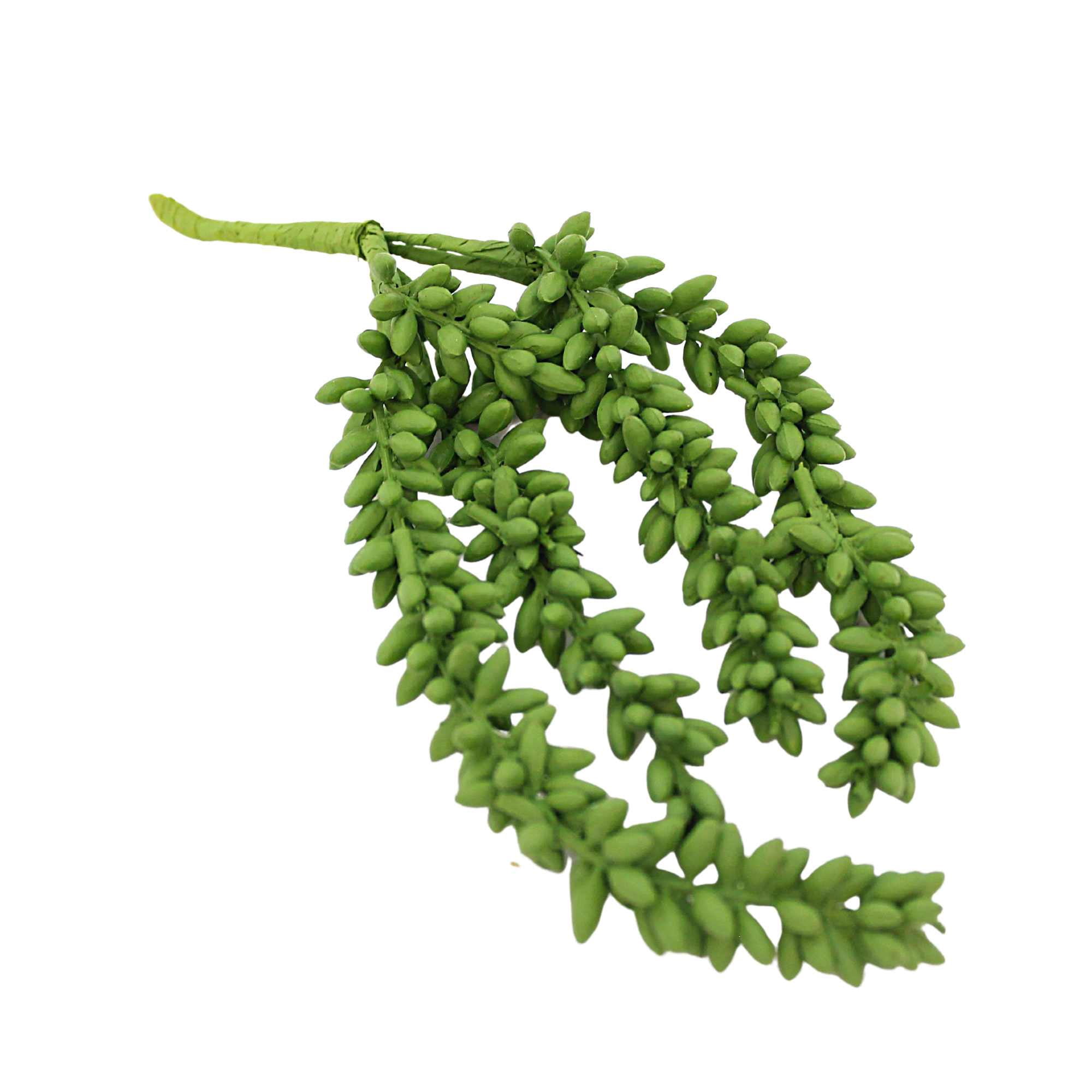 Designs Combined Inc Succulant Hanging Spray - One Plant Spray 7 Inch ...