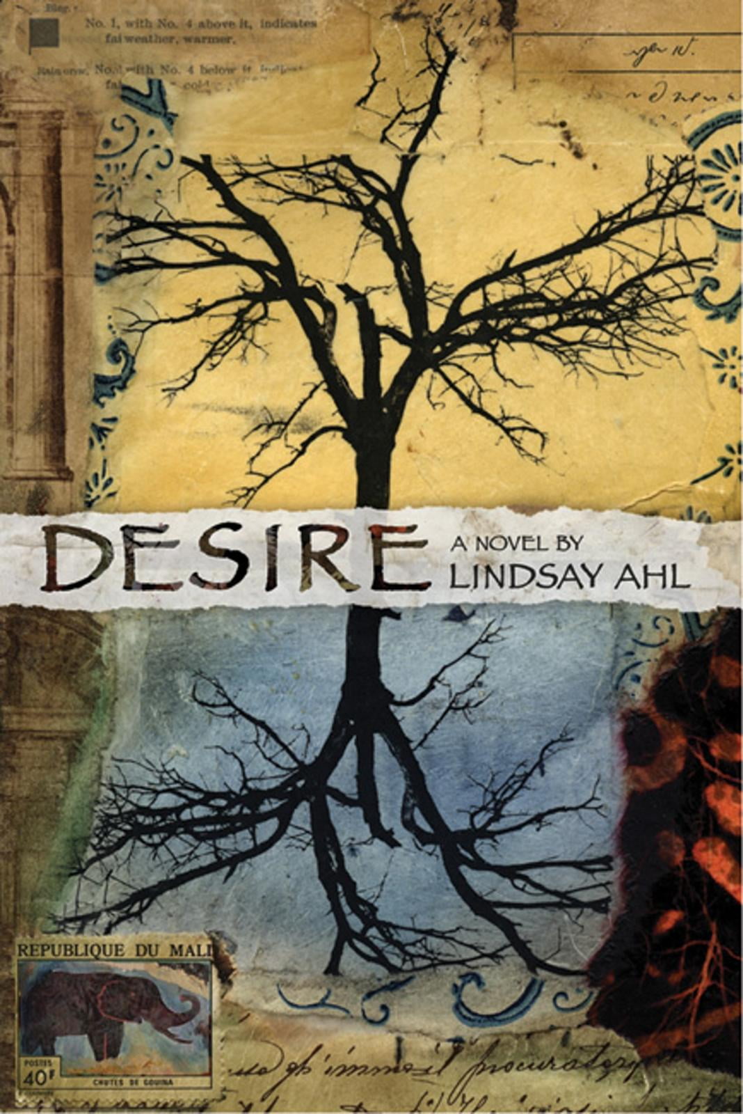 Desire (Paperback) - Walmart.com