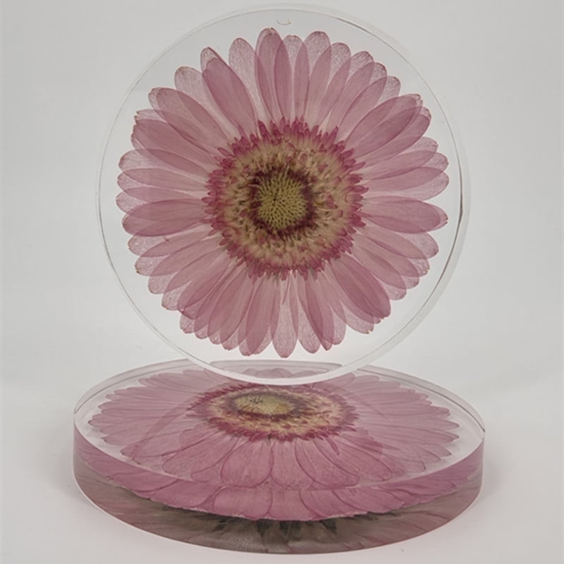 Desk Coaster Set of 2, Non-Slip Floral Drink Cup Mat, Reusable Cute ...
