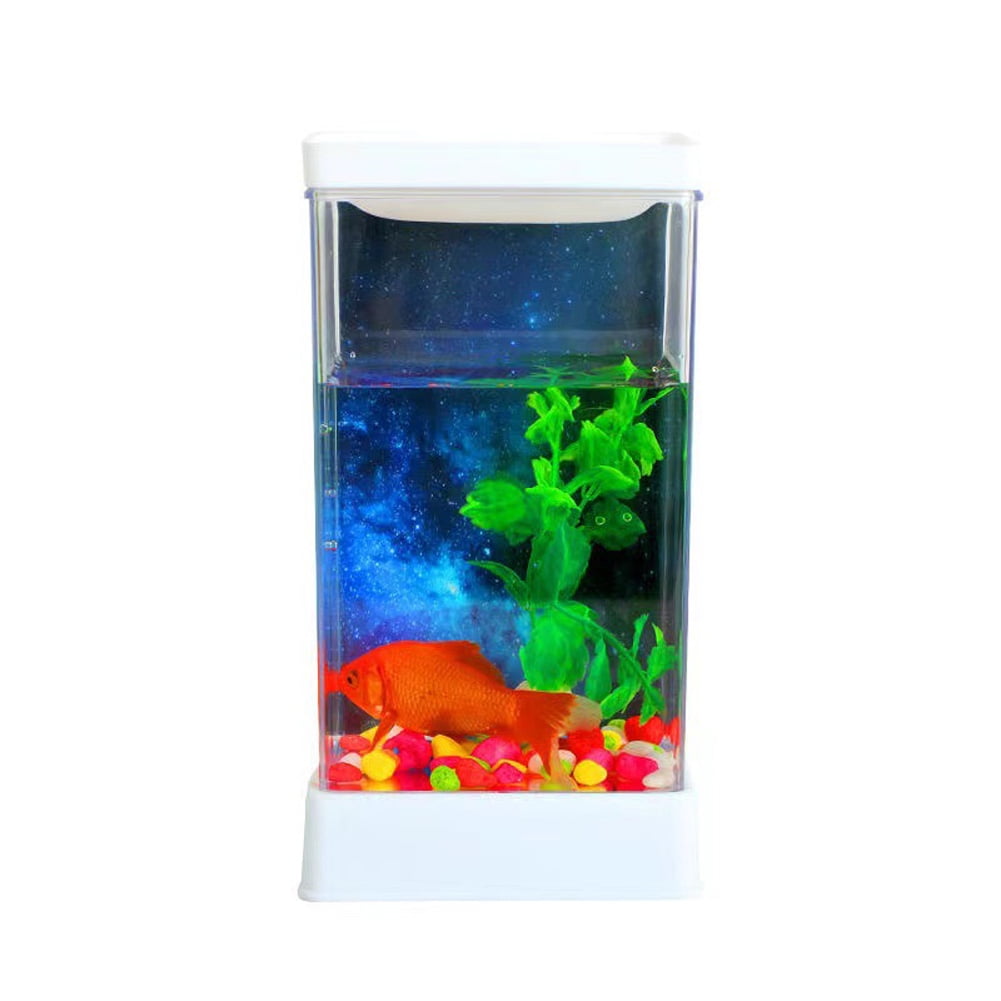 Desktop Betta Fish Tank with LED Light, Adjustable Light Isolation ...