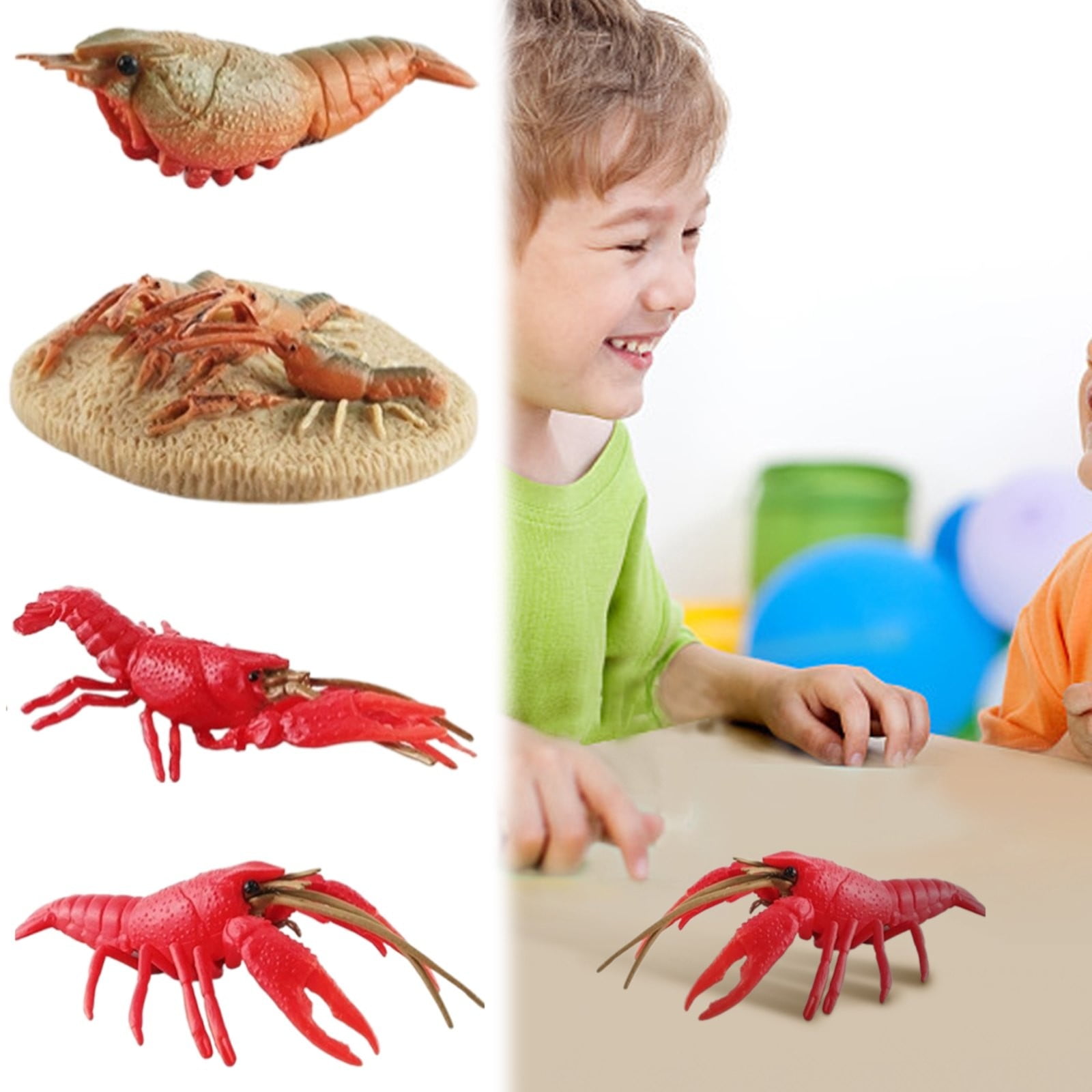 Desktop Decor,Realistic Marine Life Model Lobster Growth Cycle Set ...