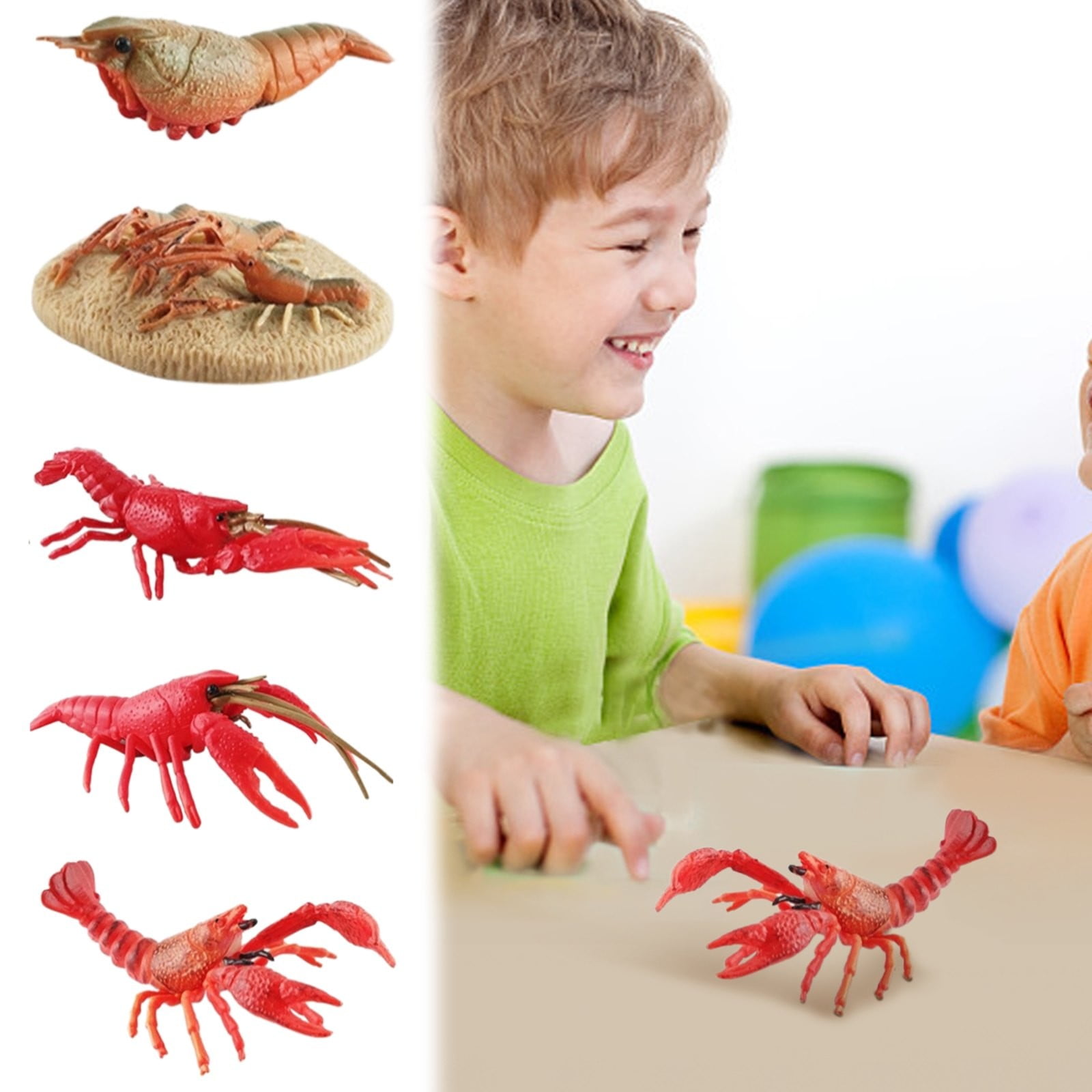 Desktop Decor,Realistic Marine Life Model Lobster Growth Cycle Set ...