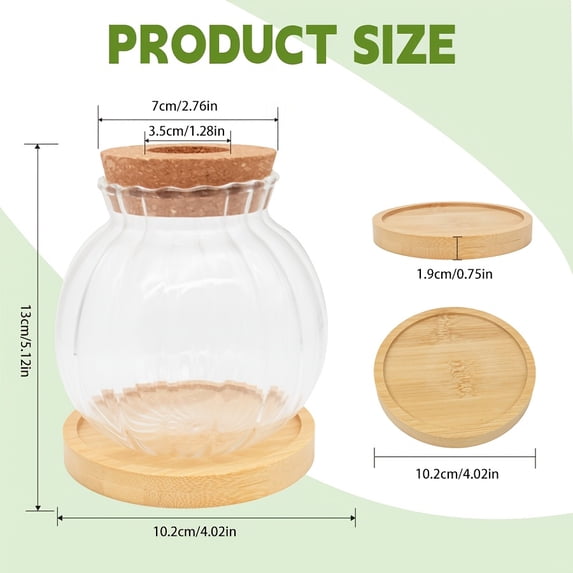 Desktop Glass Hydroponic Vase, Indoor Plant Propagation Station, Clear ...