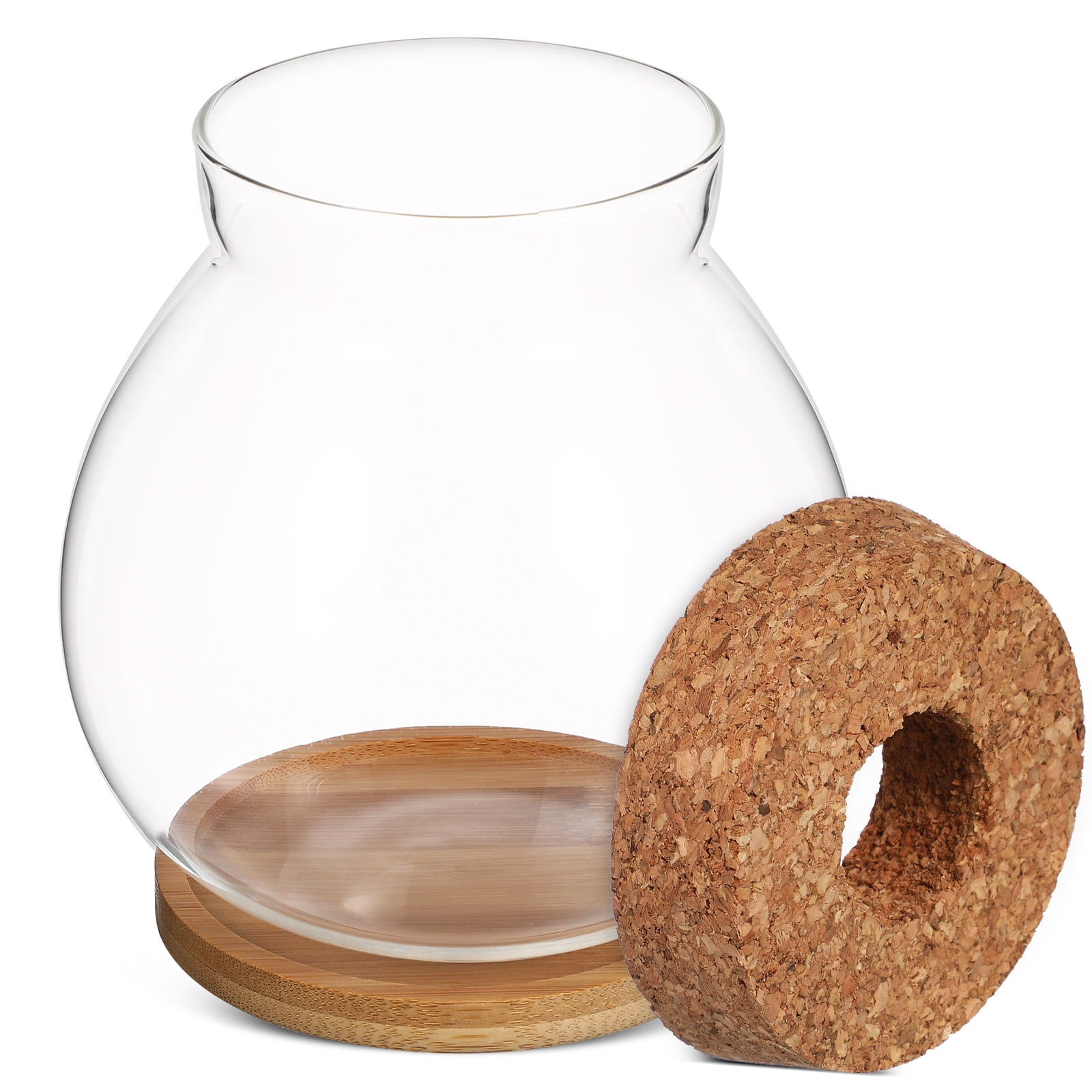 Desktop Hydroponic Terrarium - Glass Fish Bowl with Bamboo Base ...