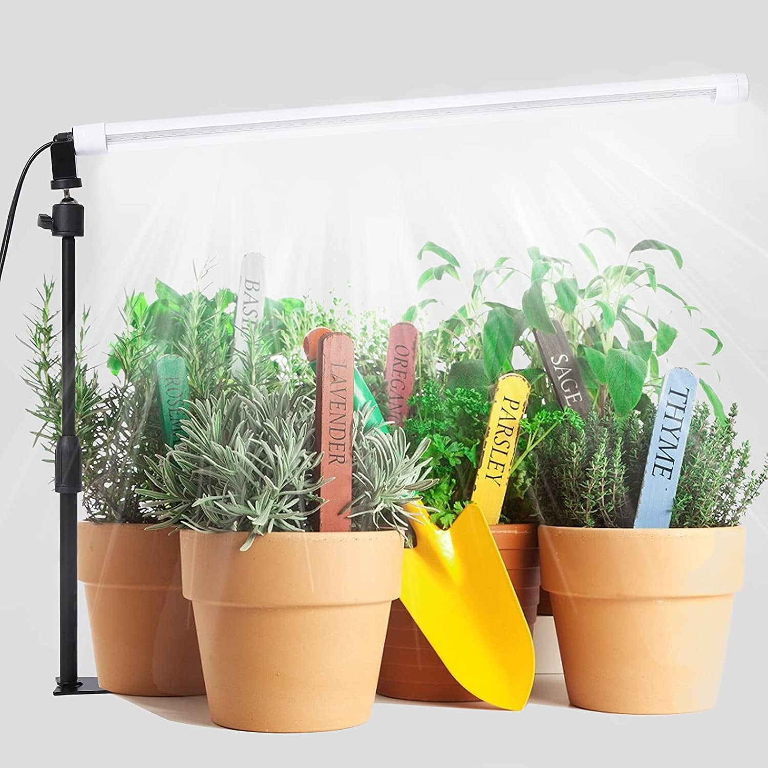 Desktop LED Grow Light Bar T8 2ft Plant Growing Lamp on Stand for ...