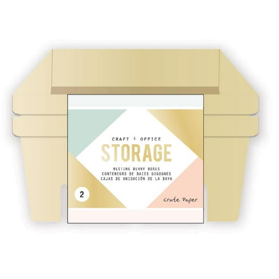 Desktop Storage Nesting Berry Containers 2/Pkg-Light Teal - Walmart.com