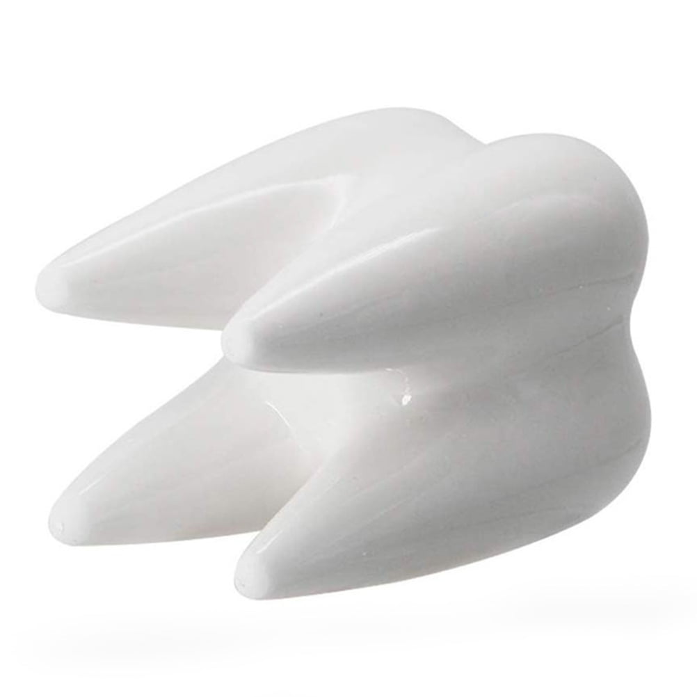 Desktop Tooth-shape Ceramic Vase Decorative Small Molar Flower Pot for ...