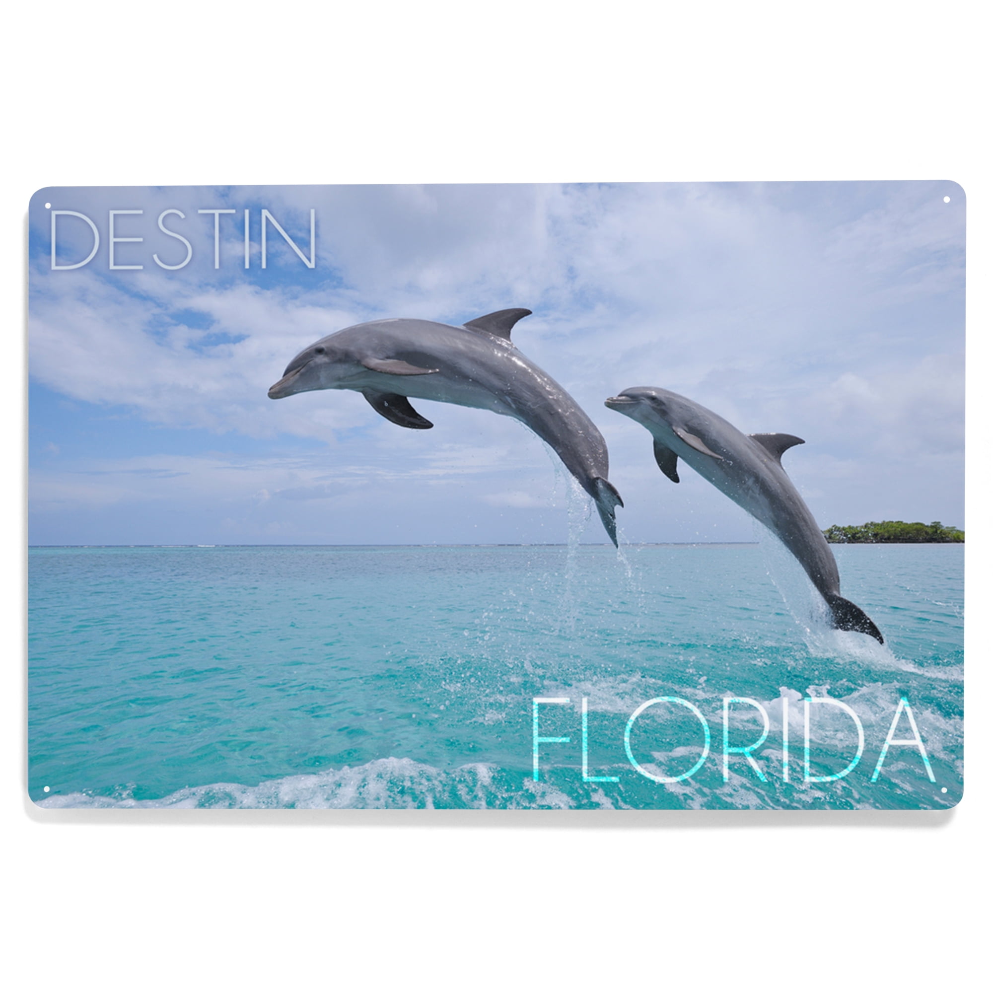 Destin, Florida, Jumping Dolphins (12x18 Aluminum Art, Indoor Outdoor ...