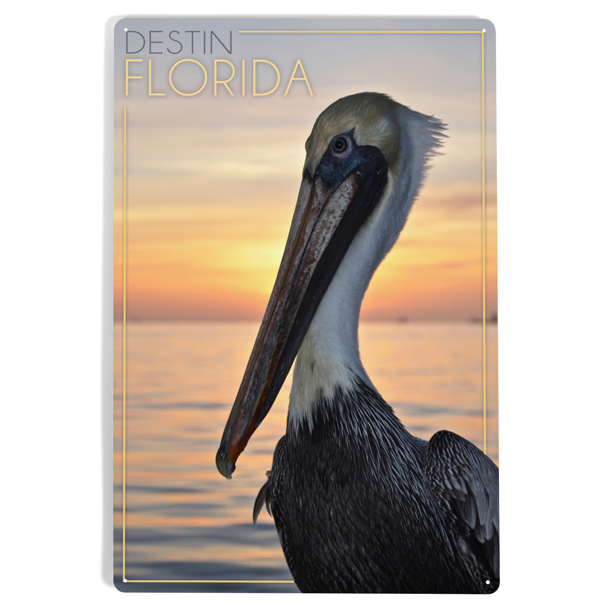 Destin, Florida, Pelican (12x18 Aluminum Art, Indoor Outdoor Metal Sign ...