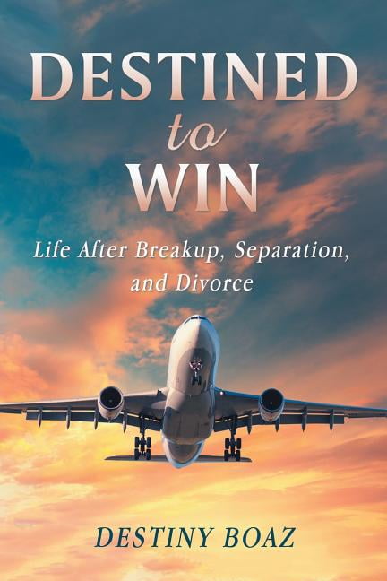 Destined to Win: Life After Breakup, Separation, and Divorce (Paperback ...