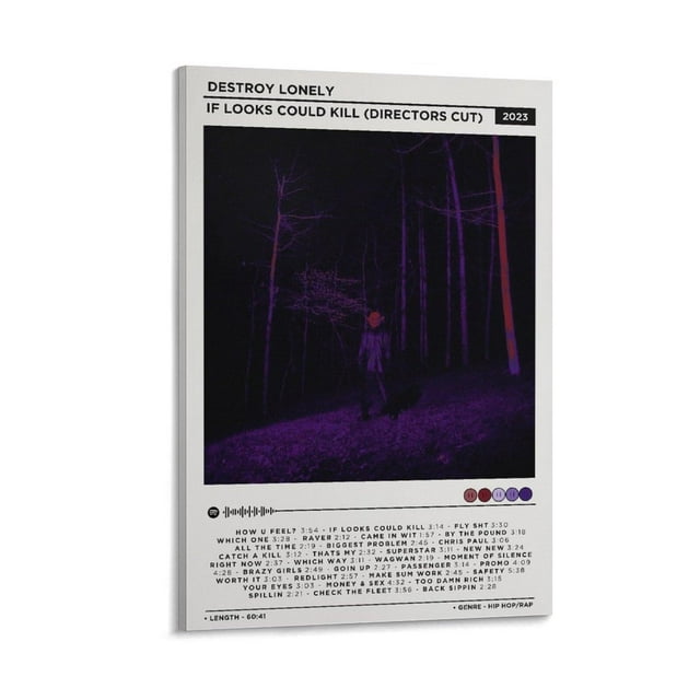 Destroy Lonely If Looks Could Kill 9 Canvas Poster Bedroom Decoration ...