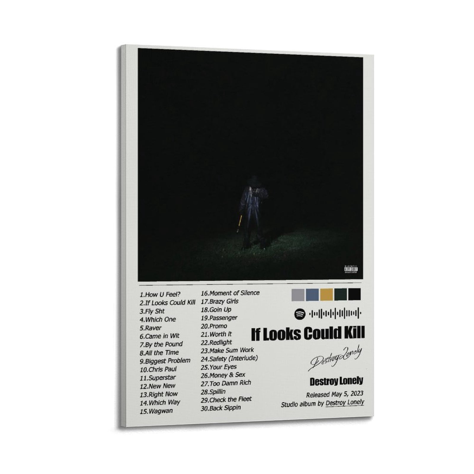 Destroy Lonely Poster If Looks Could Kill Album Cover Limited Anime ...