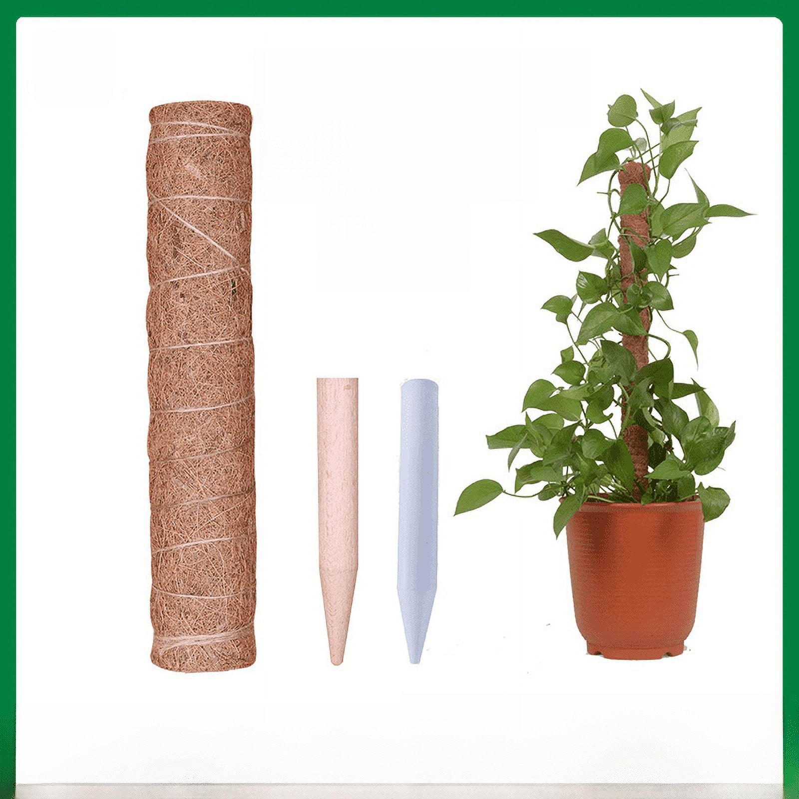 Detachable coconut pole plant support moss pole climbing pole set green ...