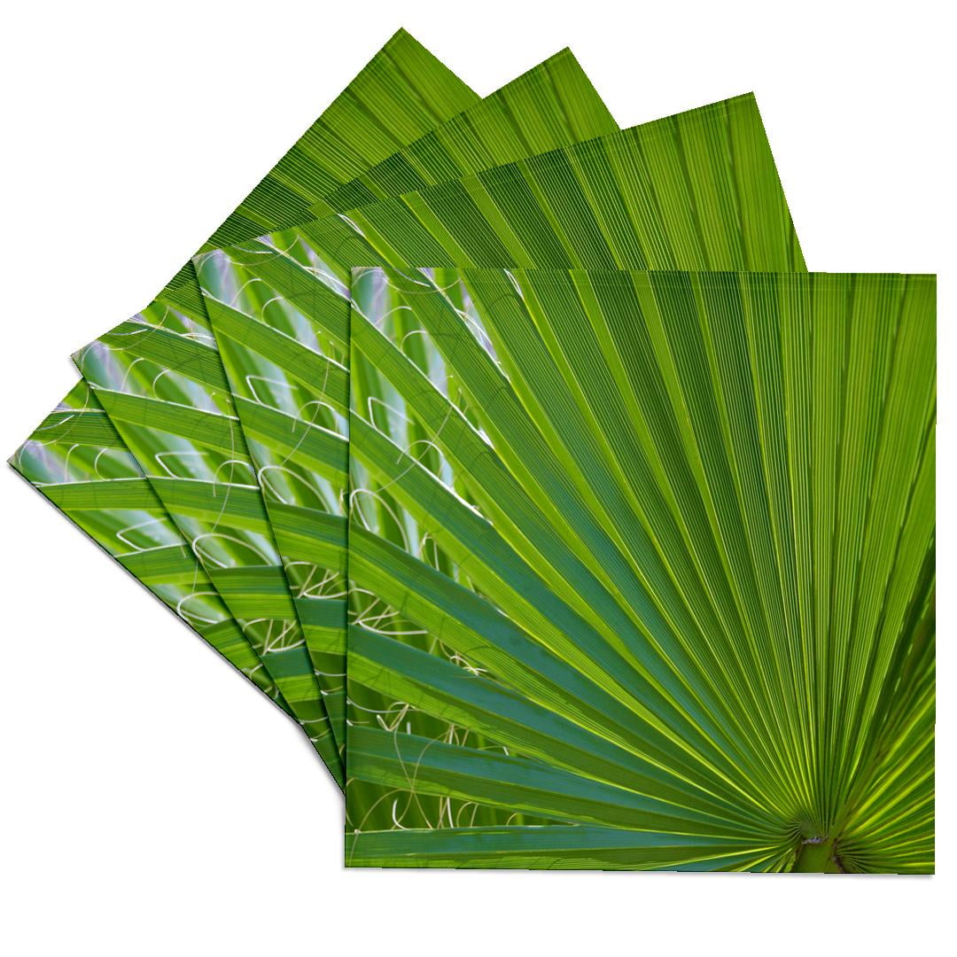 3drose, Detail, Palm Tree Frond, Set of 4 Ceramic Tile Coasters ...