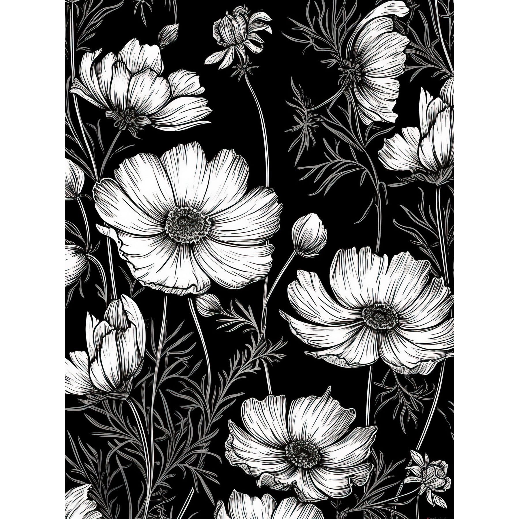 Detailed Black and White Cosmos Flower Plants Extra Large XL Wall Art ...