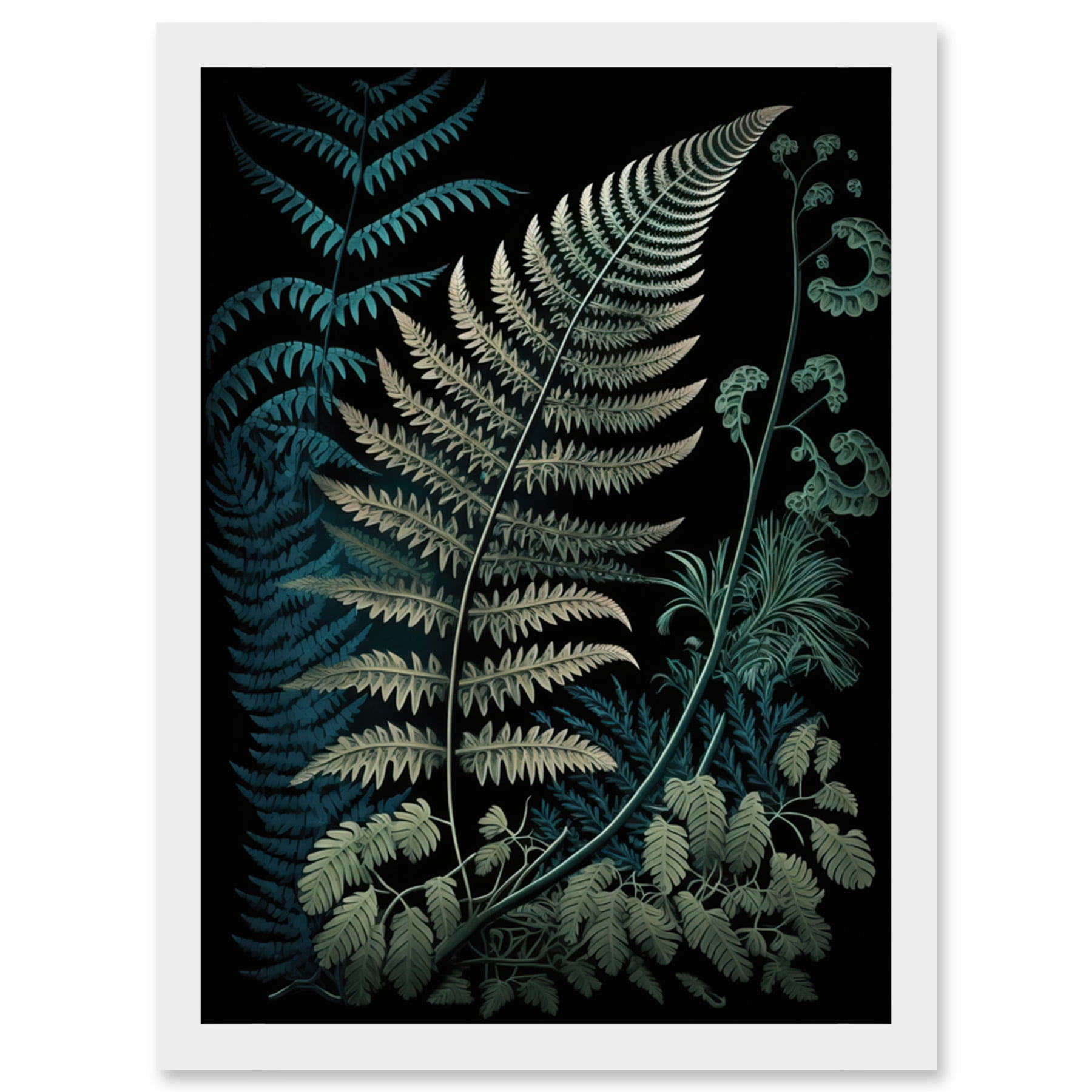 Detailed Fern Frond Species Botanical Illustration Artwork Framed Wall ...
